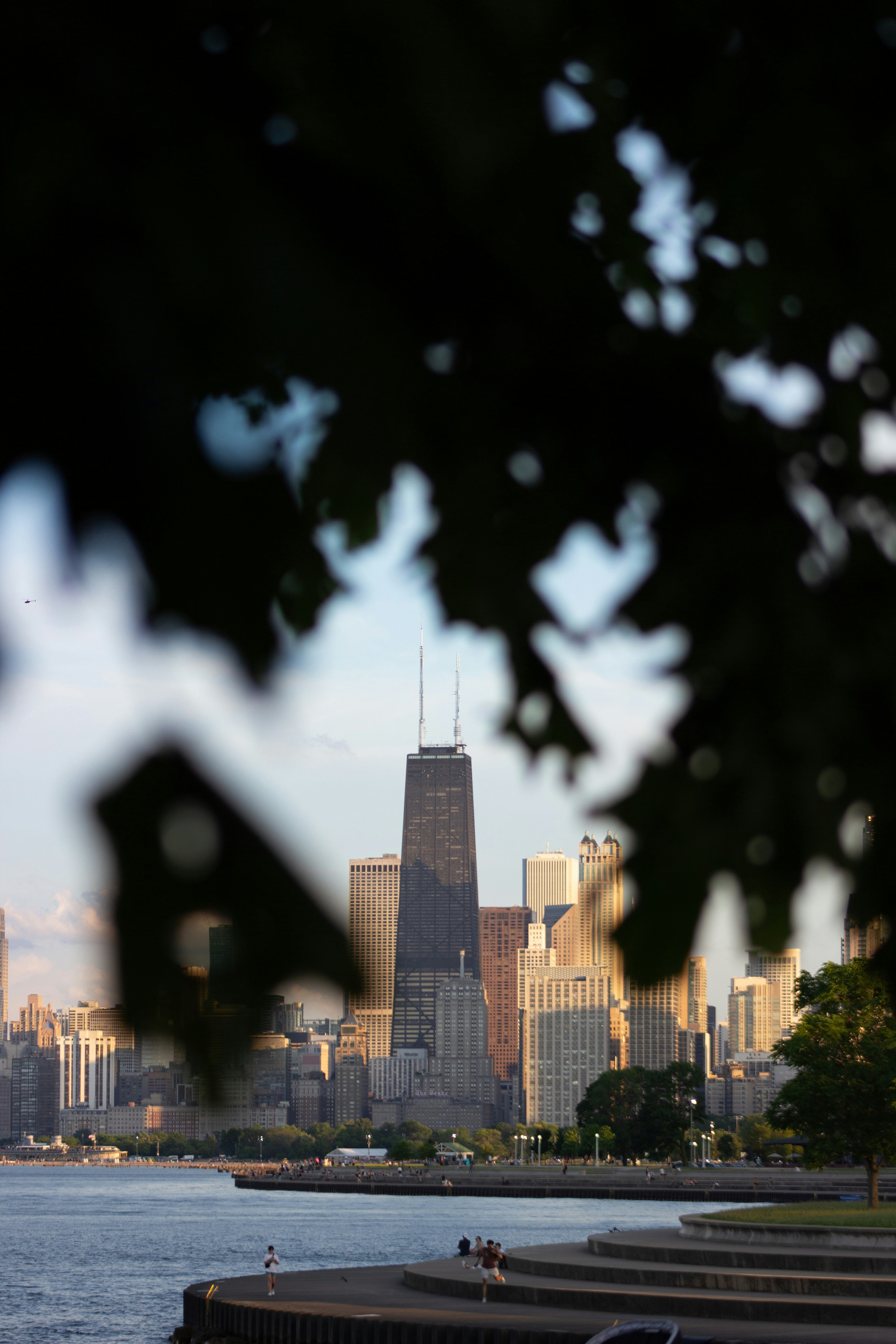 The iconic John Hancock Center rises above the Chicago skyline, framed by lush green foliage along the waterfront. 