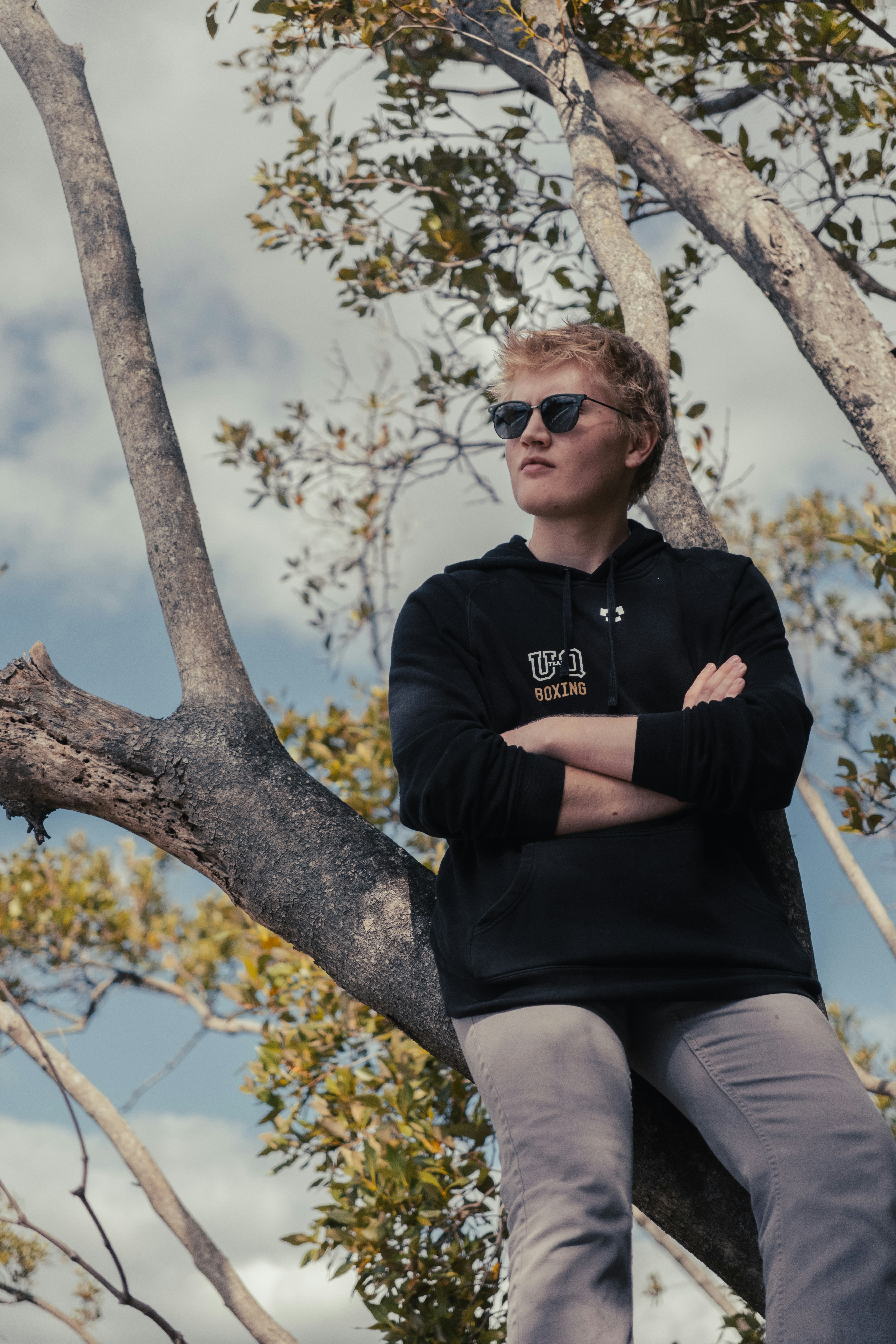High Perch, Cool Gaze: A Tree-Top Portrait