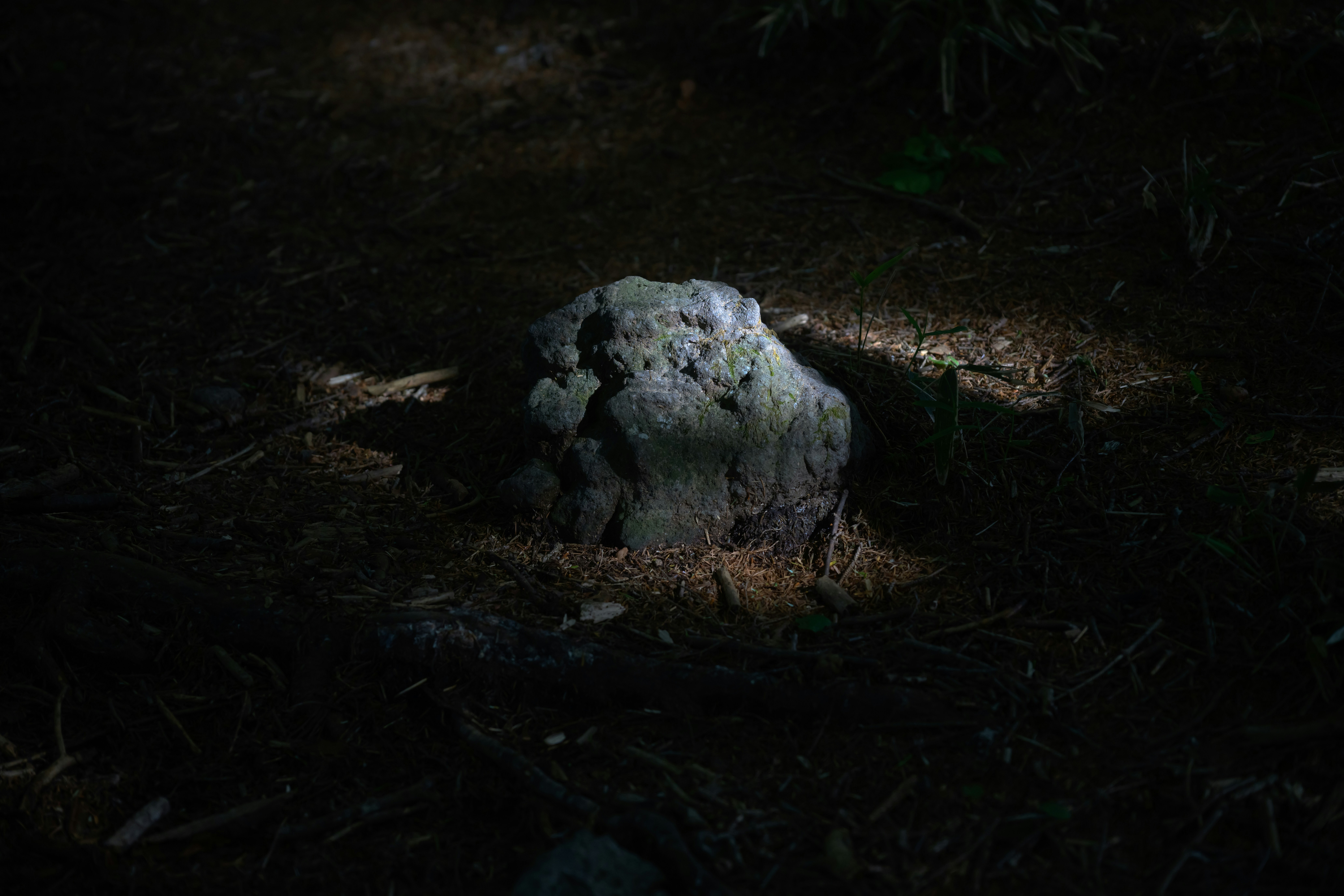 The Solitary Stone: Nature's Silent Sentinel