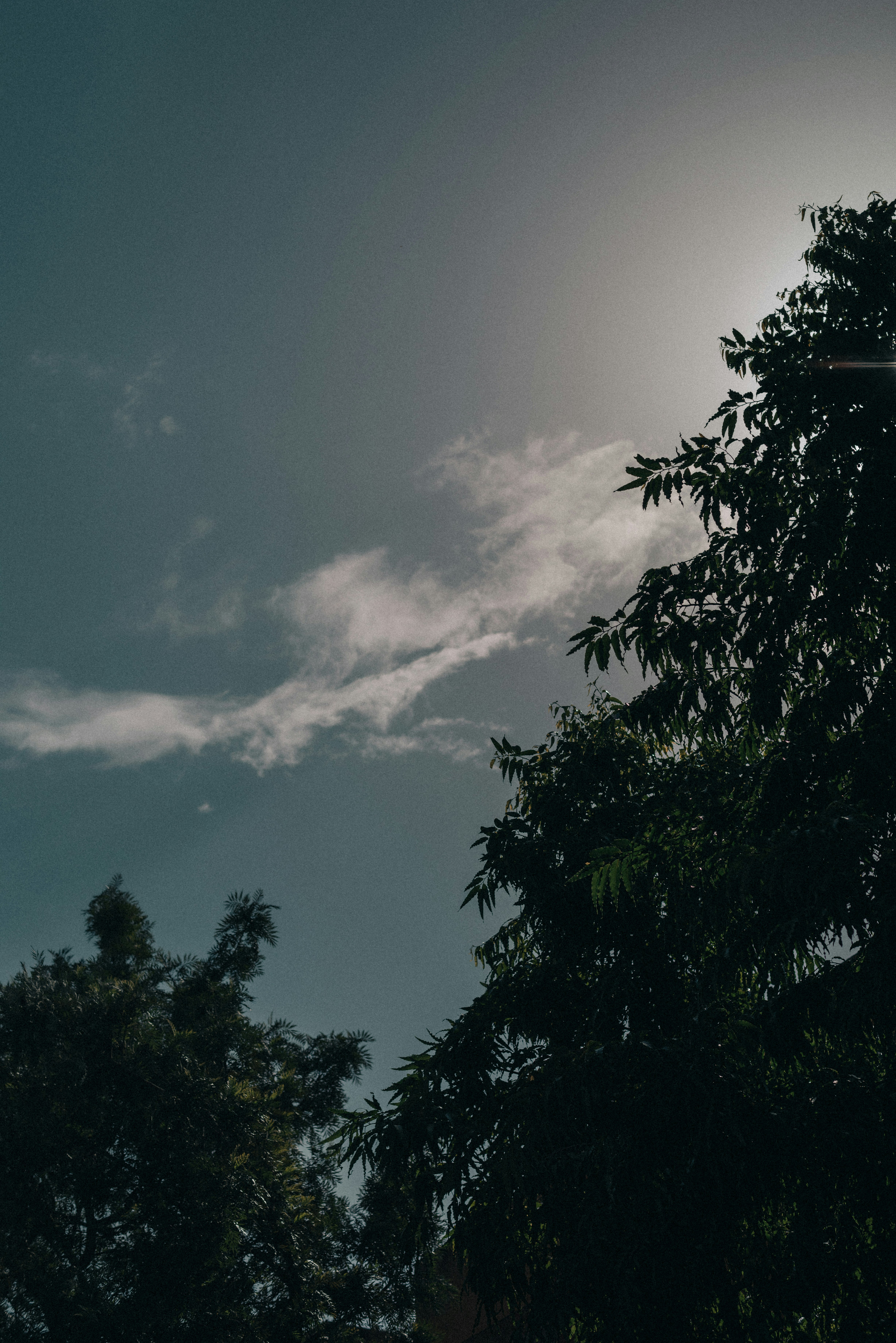 Photo by Mona Jain with Nikon D810