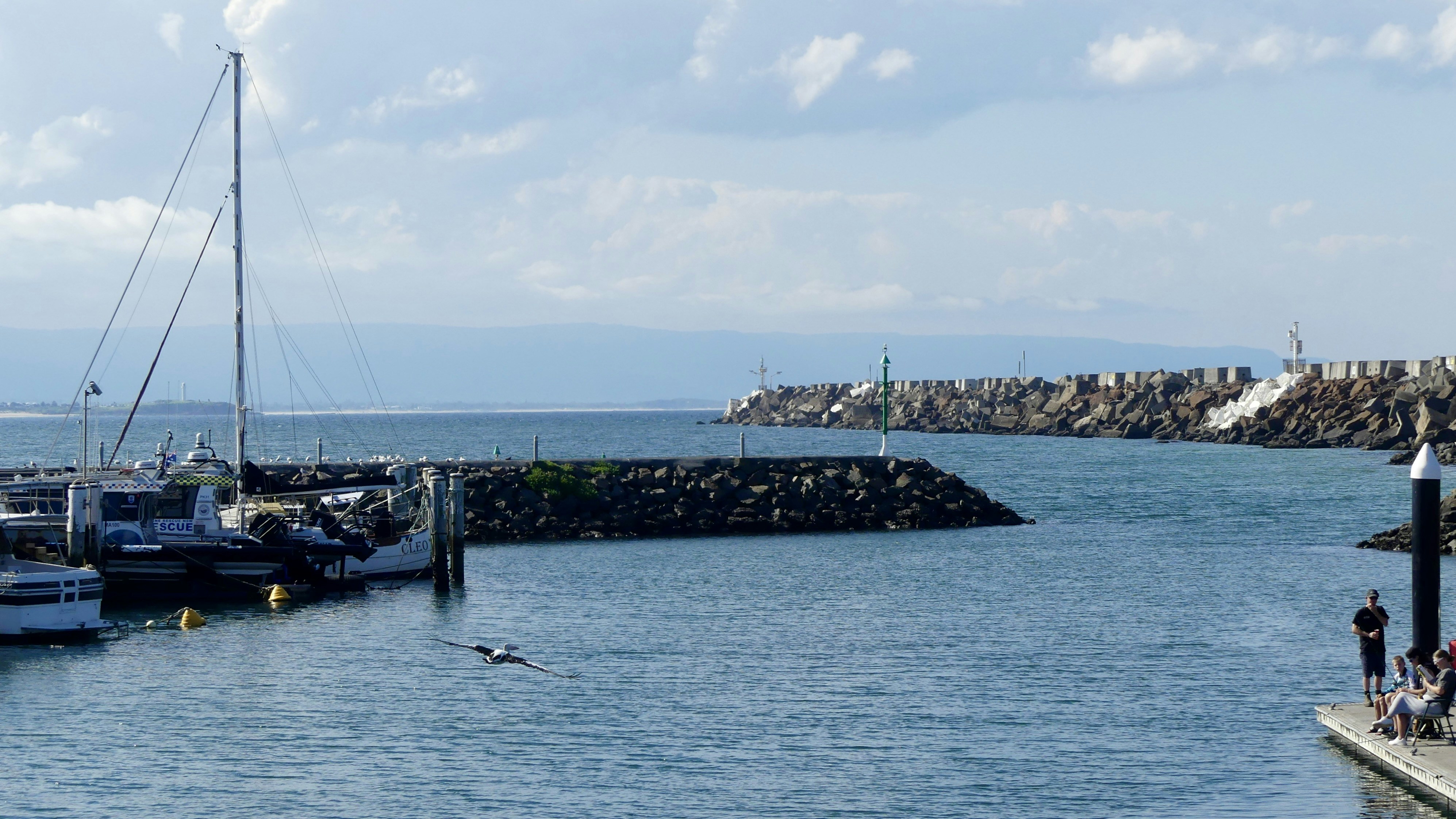 Harbor Serenity: A Day at the Dock