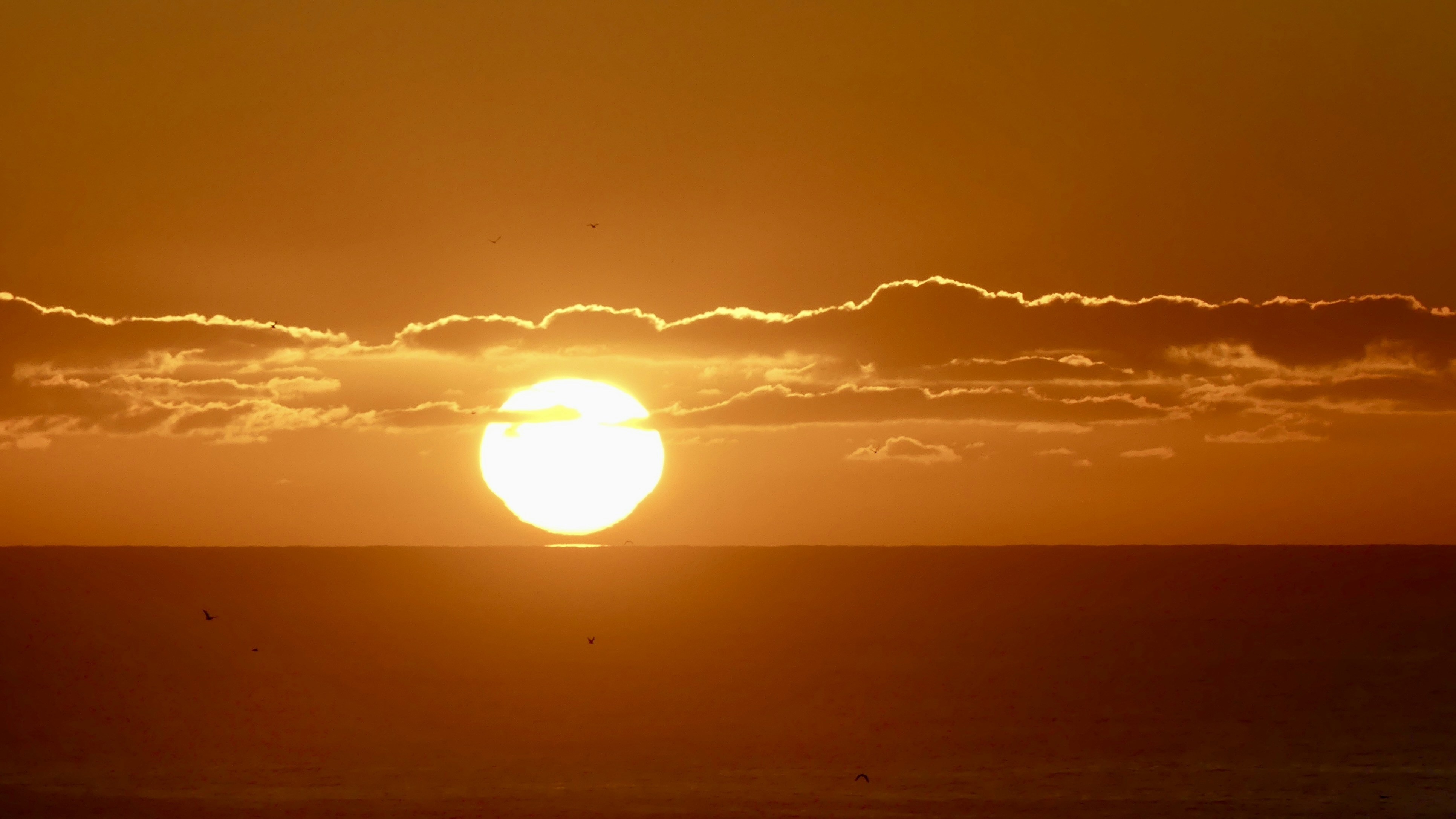 Golden Horizon: A Celestial Embrace