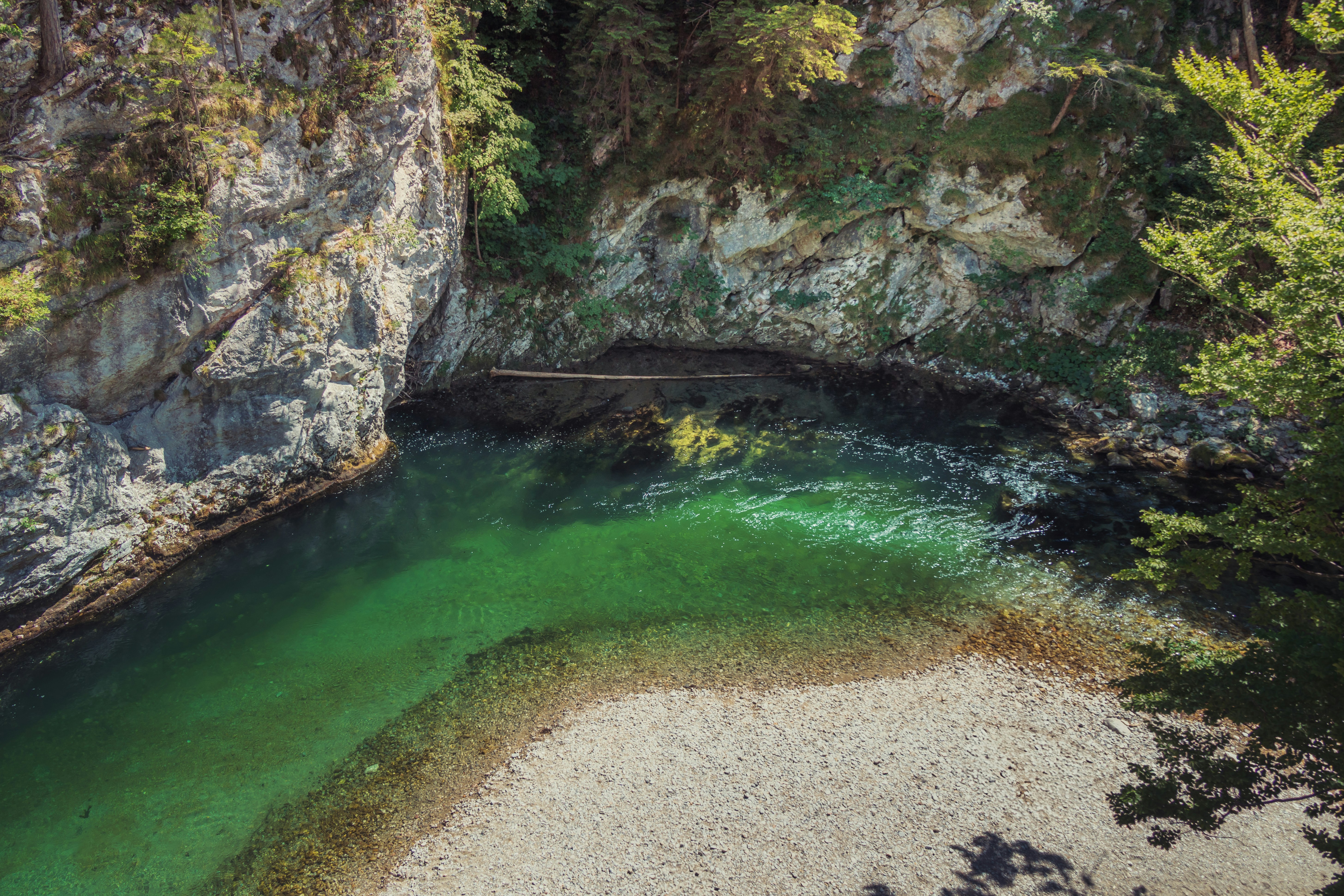 Verdant Pool at the Cliff's Edge