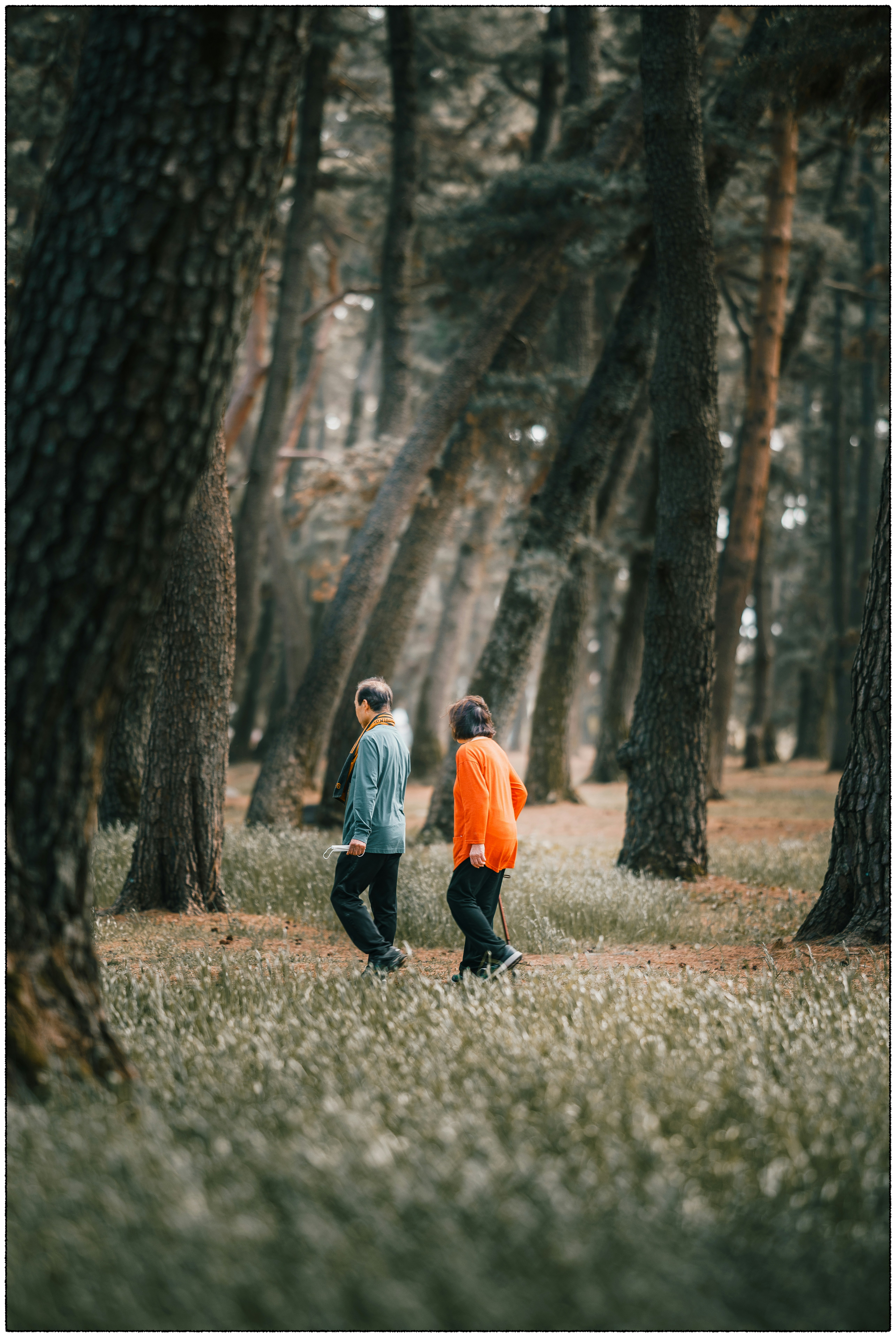 Two people walk through a dense, shadowed forest. photo – Free Forest Image on Unsplash