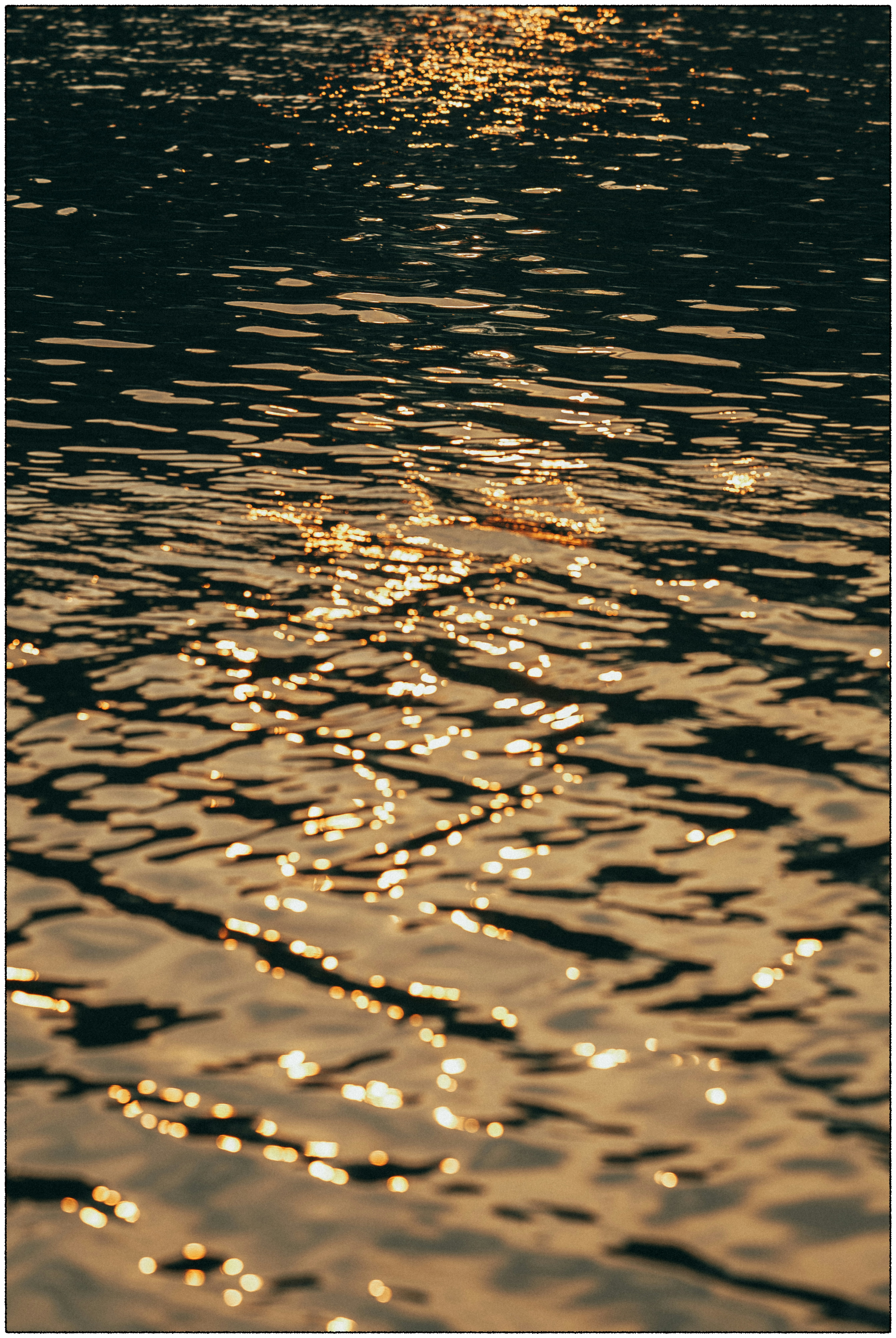 Water ripples reflect sunlight, creating a golden glow. photo – Free ...