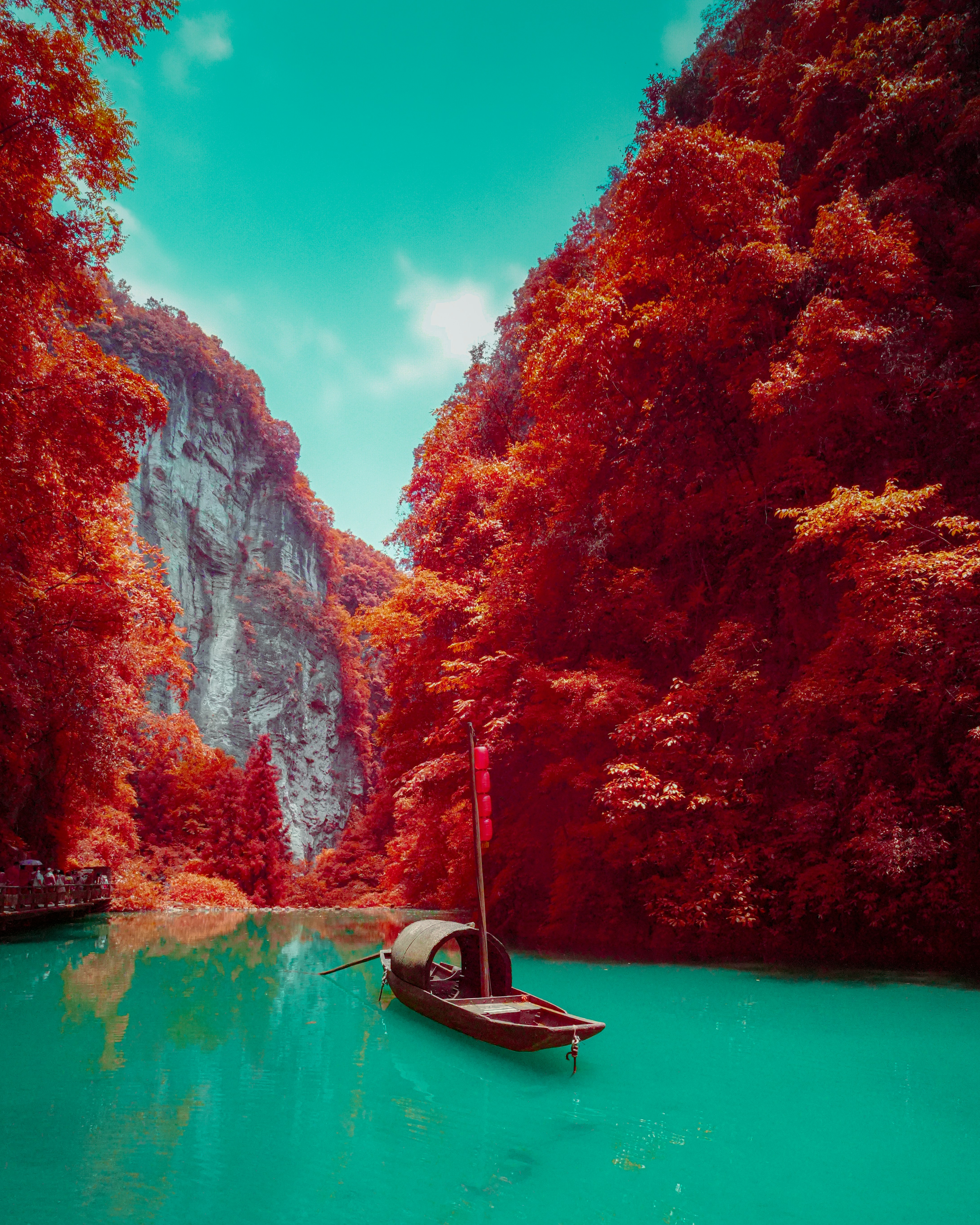 Serenity in Chromatic Wilderness