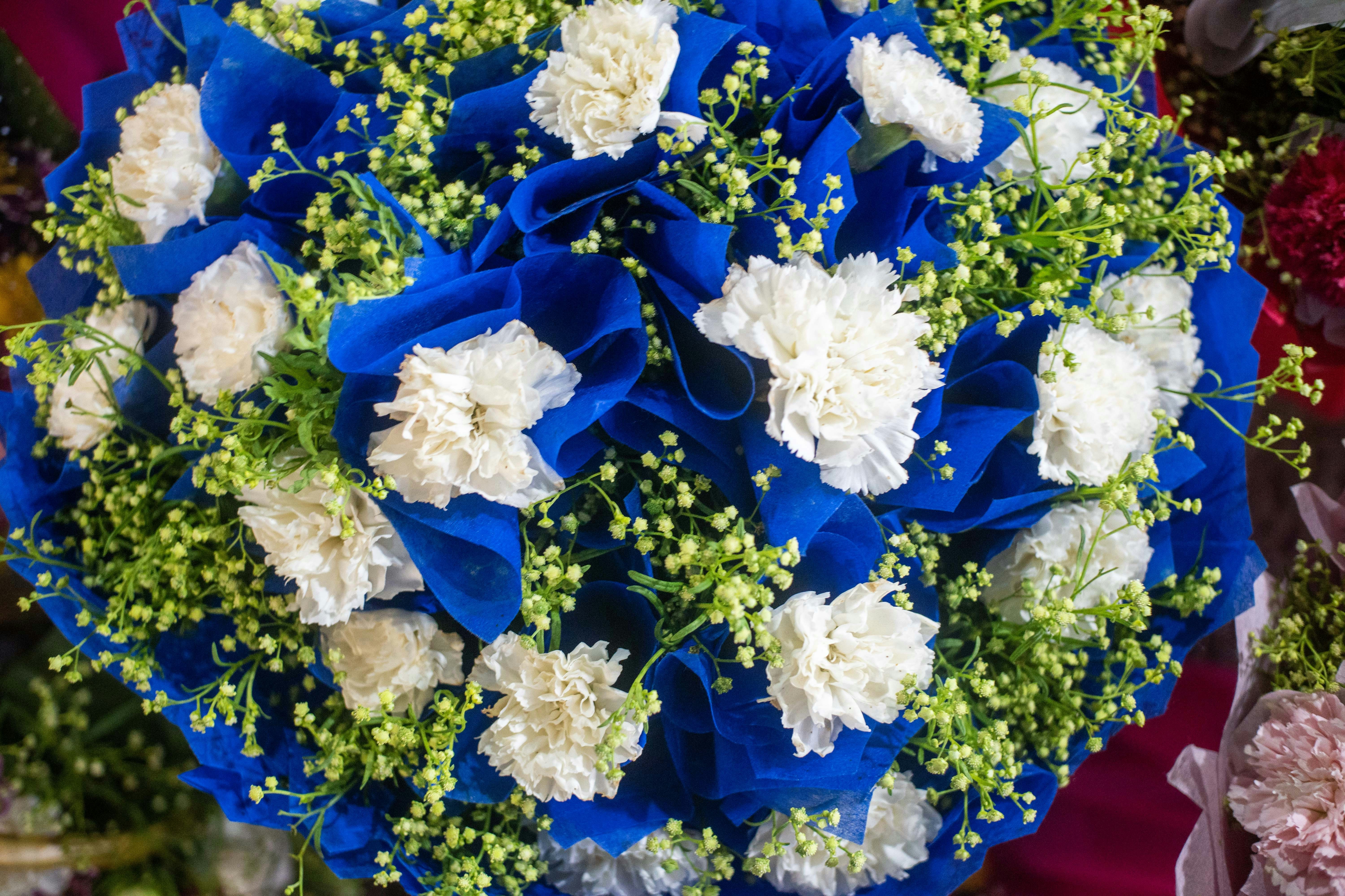 Floral Harmony: A Symphony of Blue and White