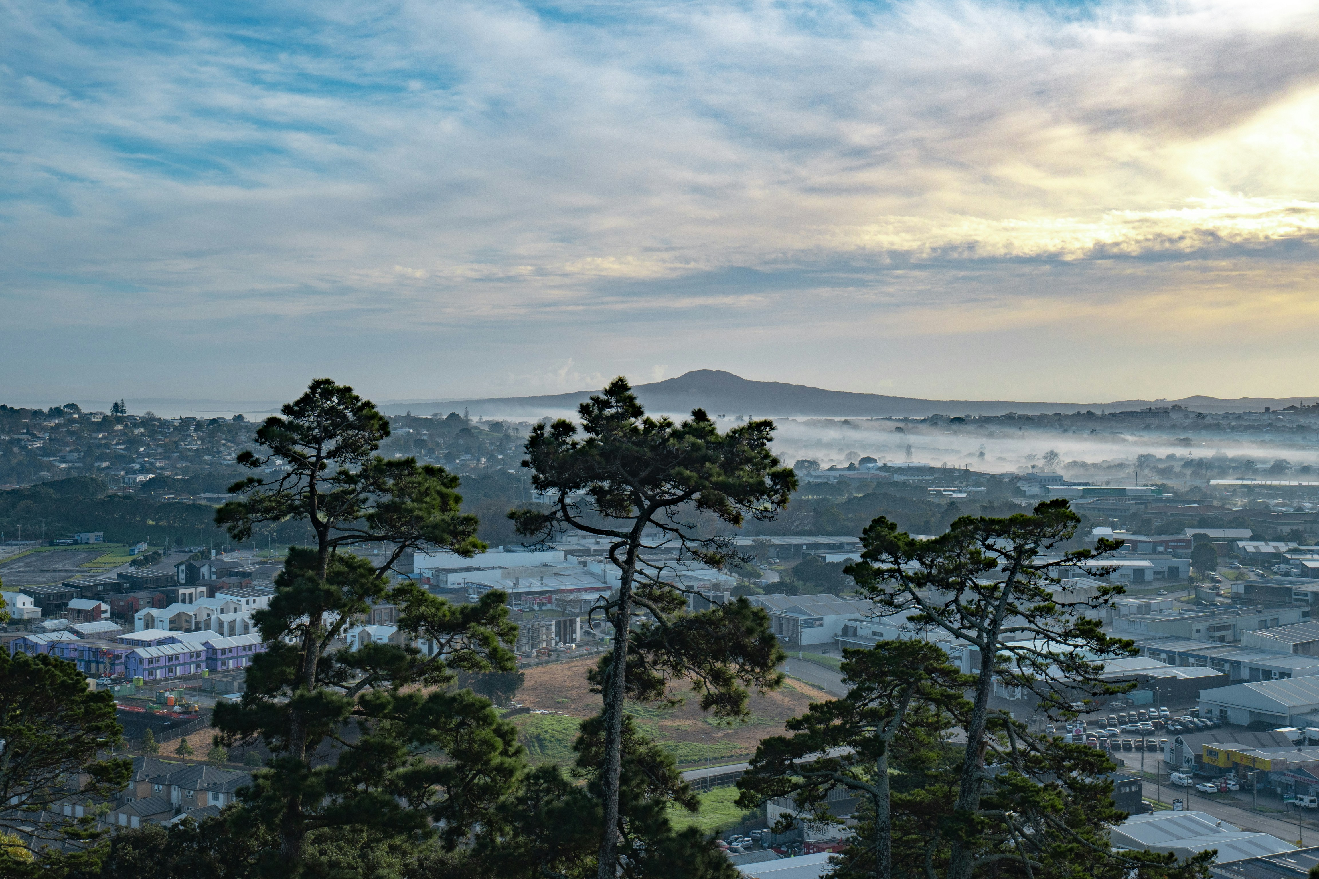 Fog blankets the urban sprawl, framed by towering trees under a soft morning sky.