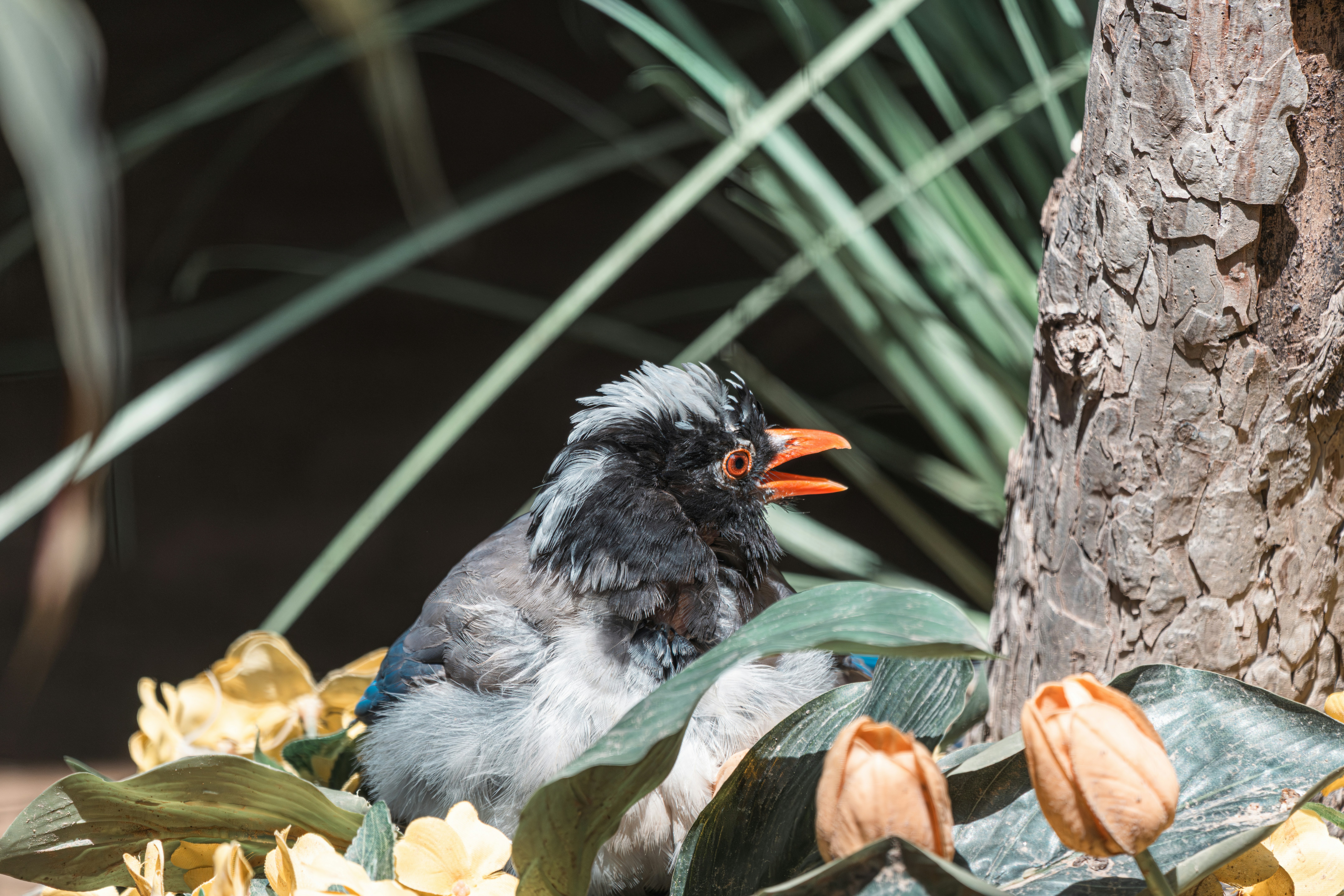 Beak Aflame: A Tiny Bird Perched Among Garden Blooms