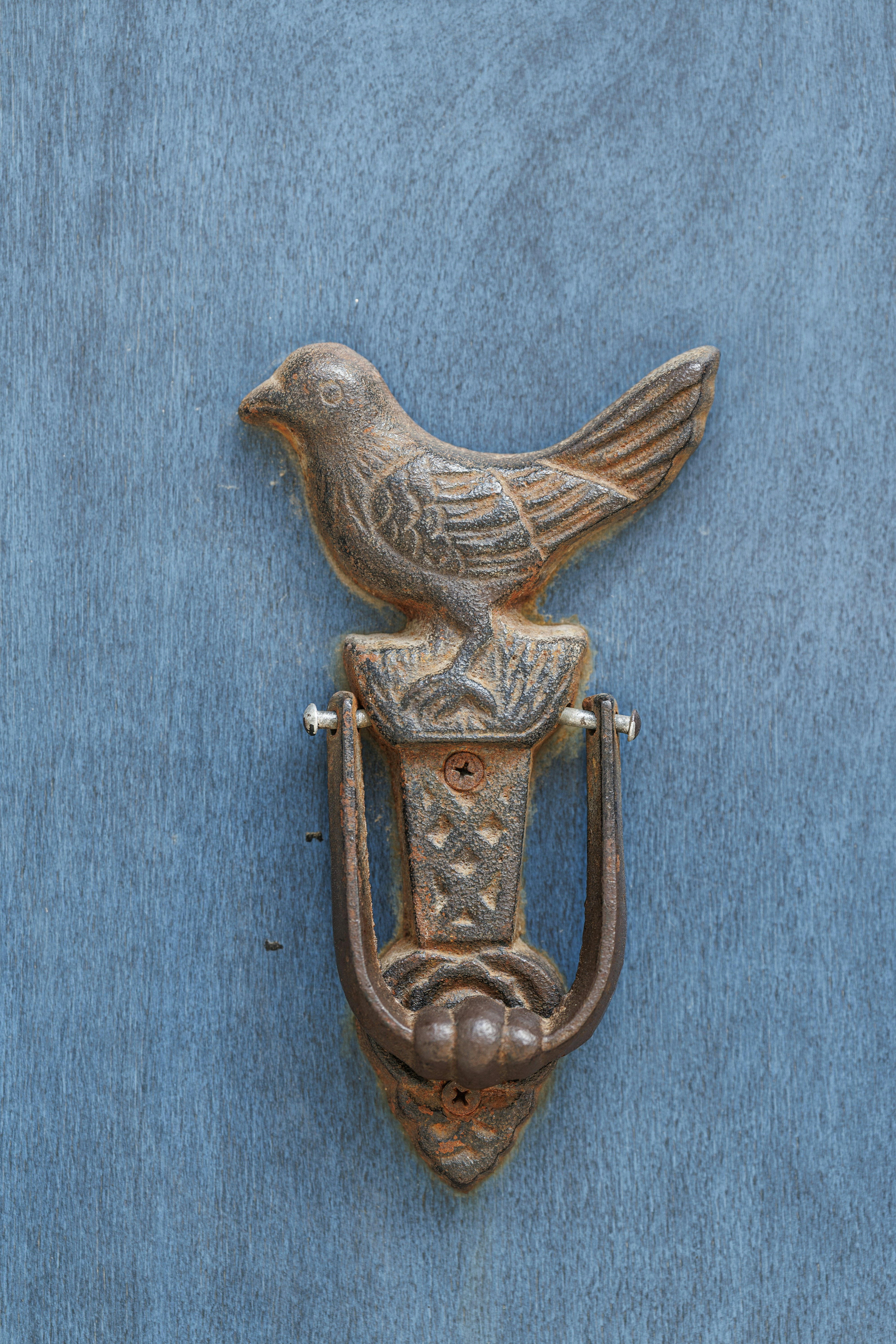 Whimsical Sentinel: The Bird Door Knocker