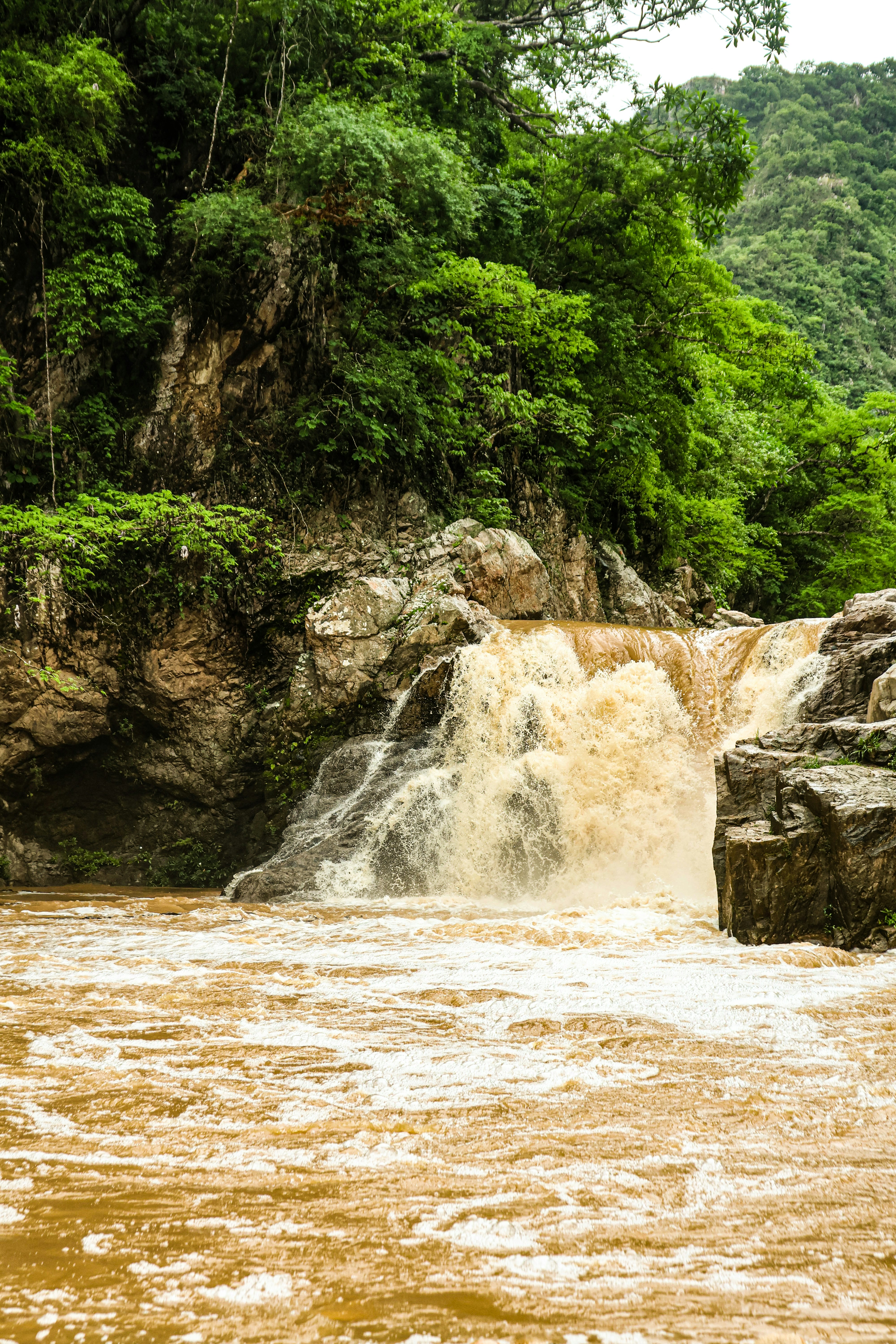 Whispers of the Cascading Stream