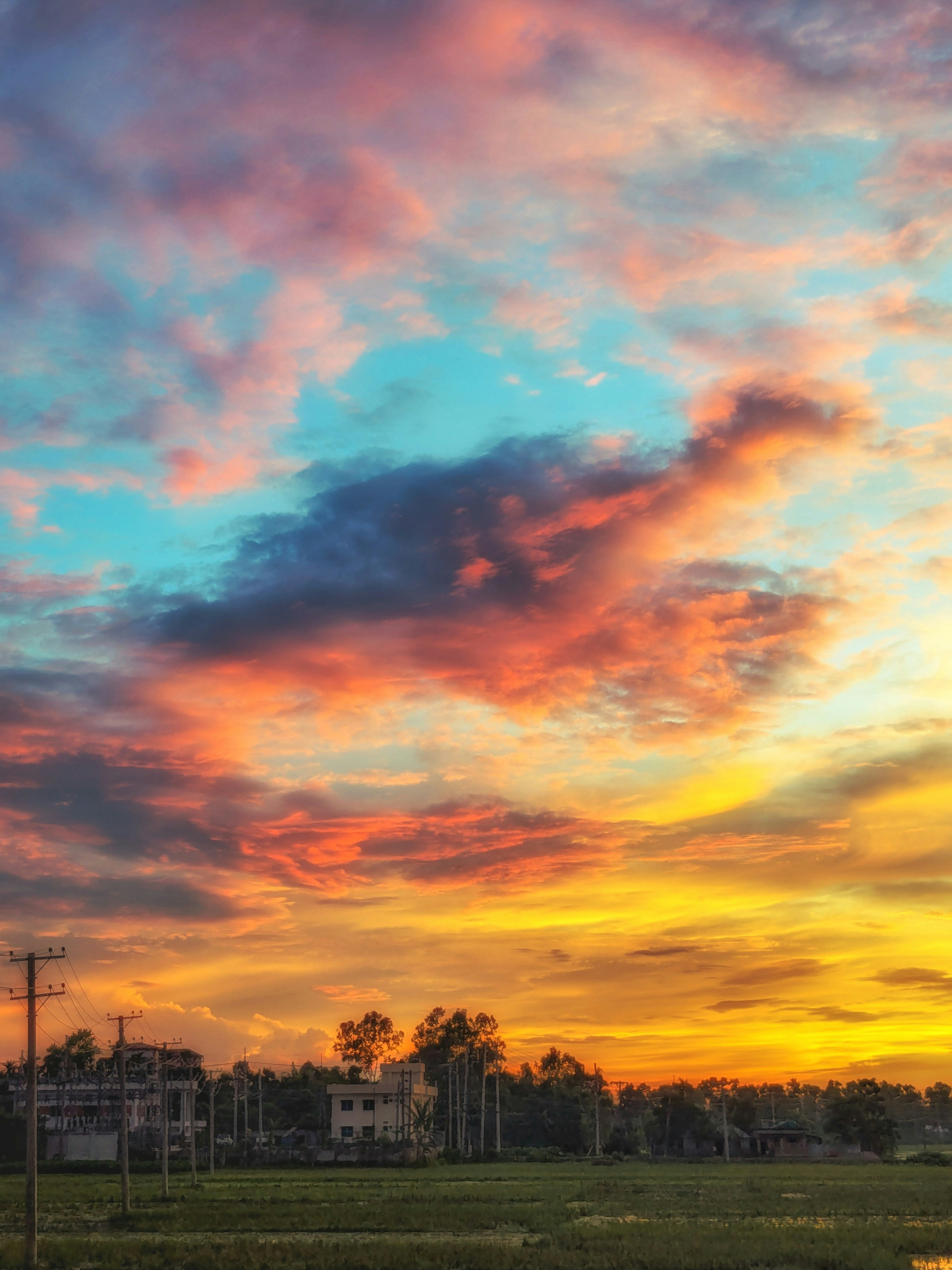 Twilight's Brush: A Canvas of Color