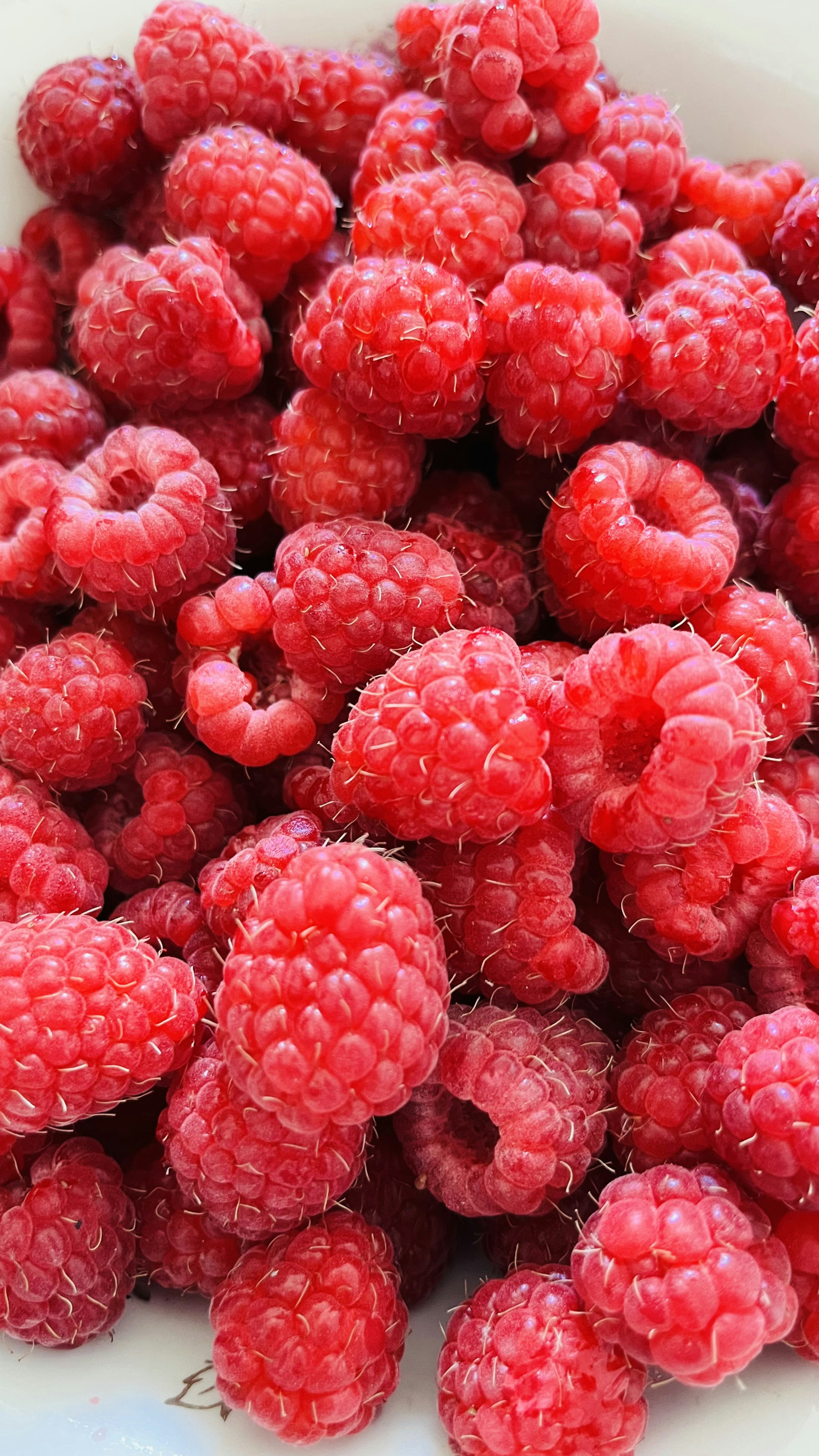 A Berry Abundance: Nature's Ruby Gems