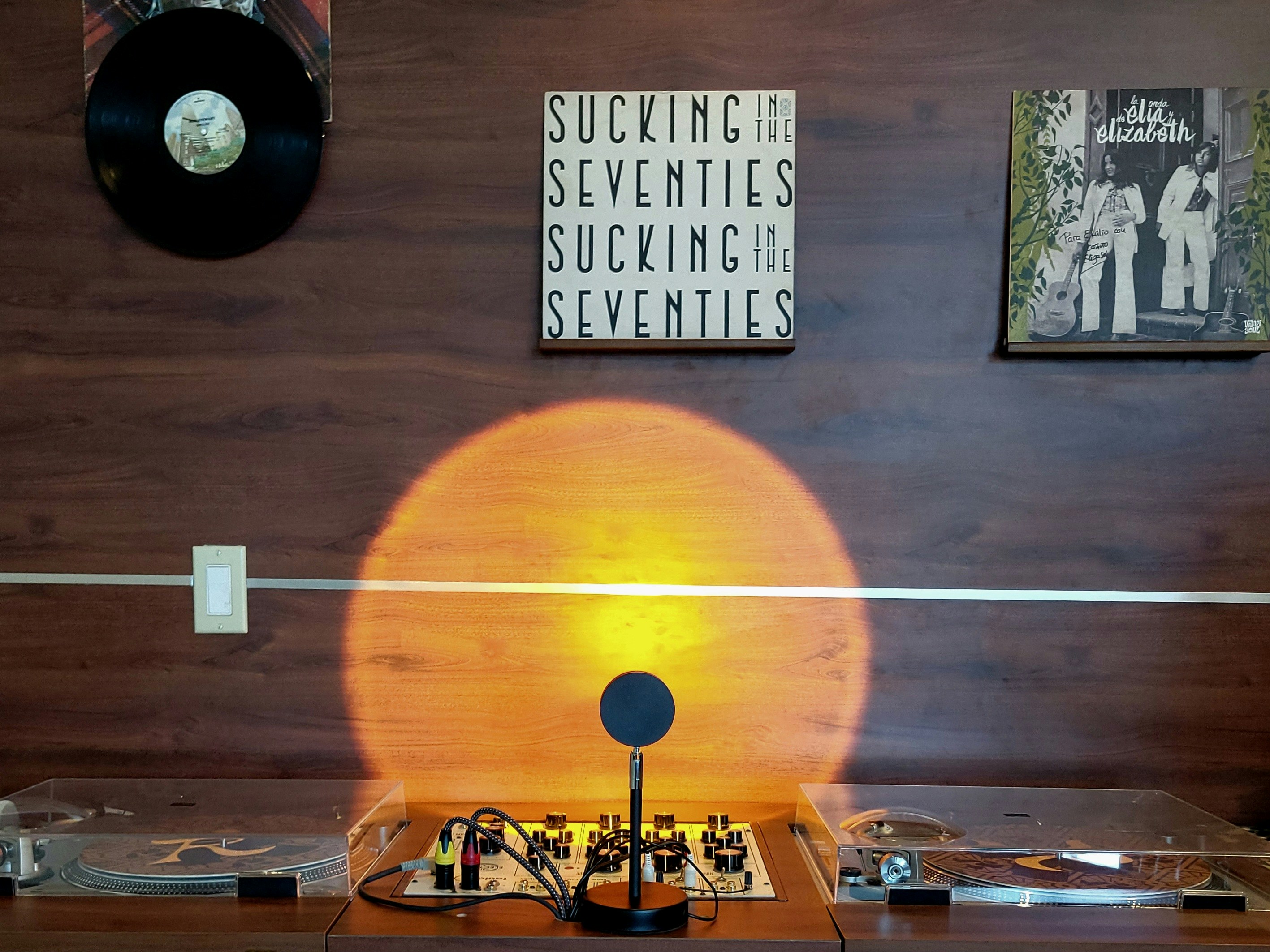 Echoes of a Vinyl Era