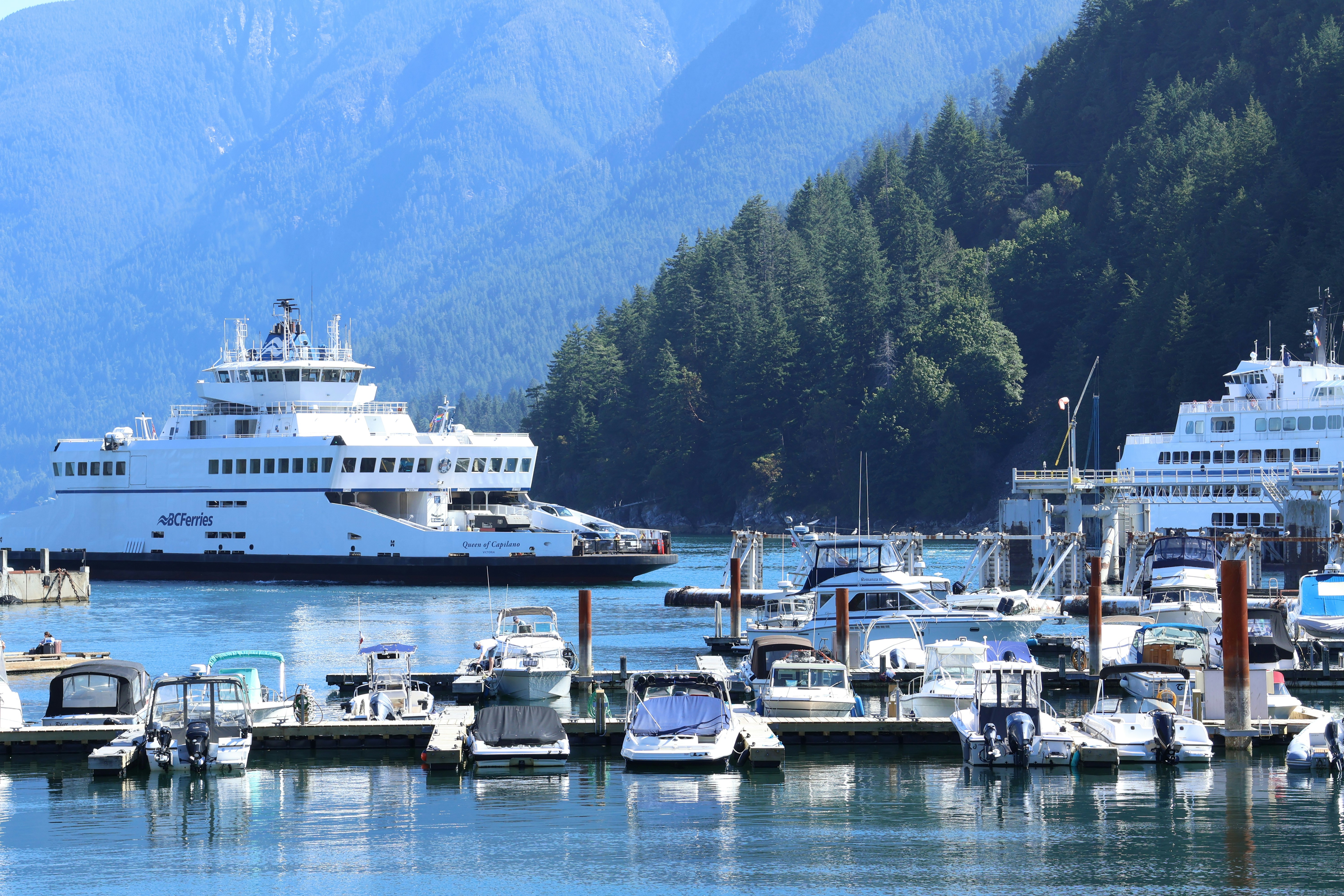 Harbor Parade: Yachts Docked Beneath Alpine Pines