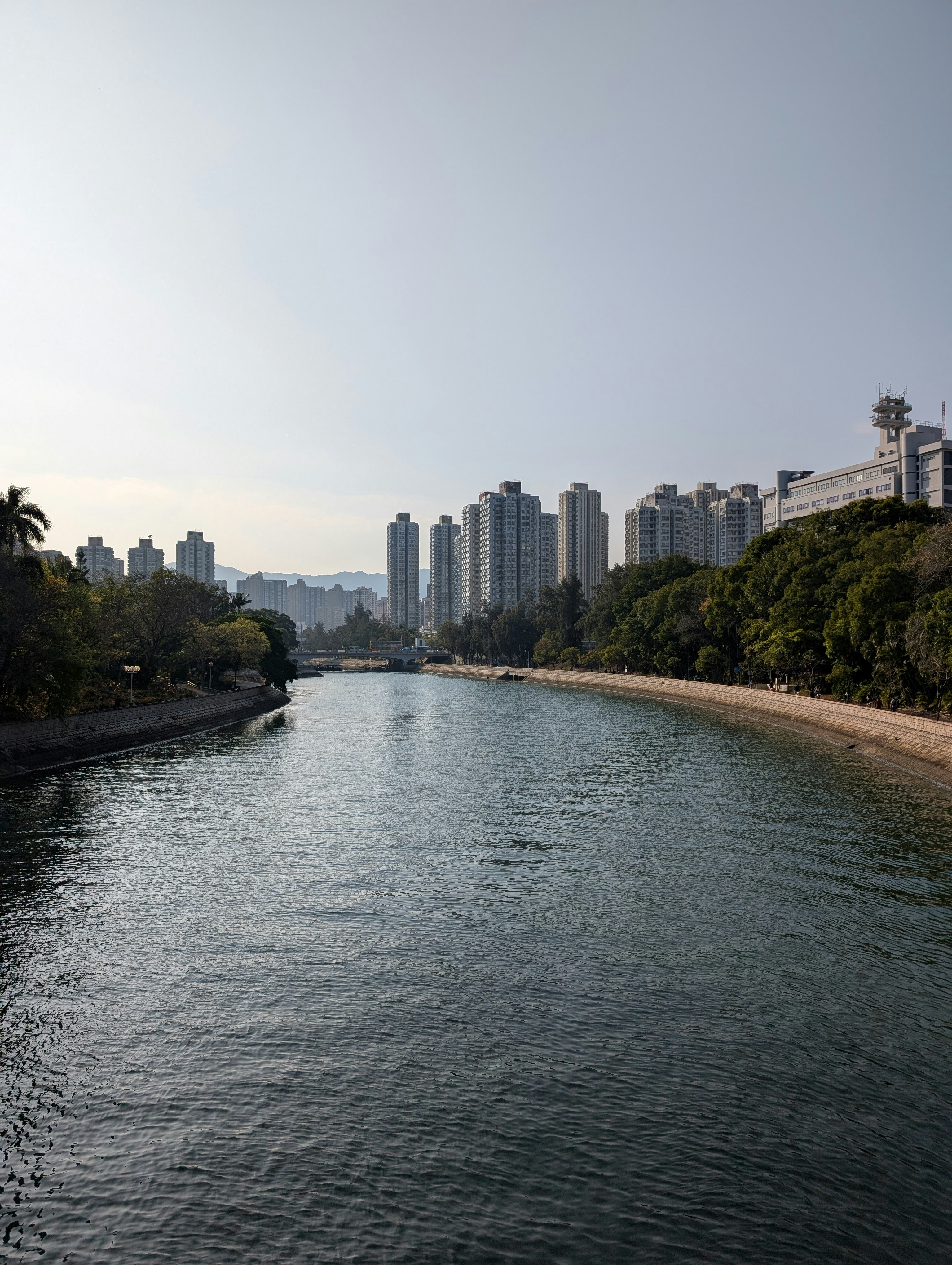 Urban Serenity: A River's Embrace