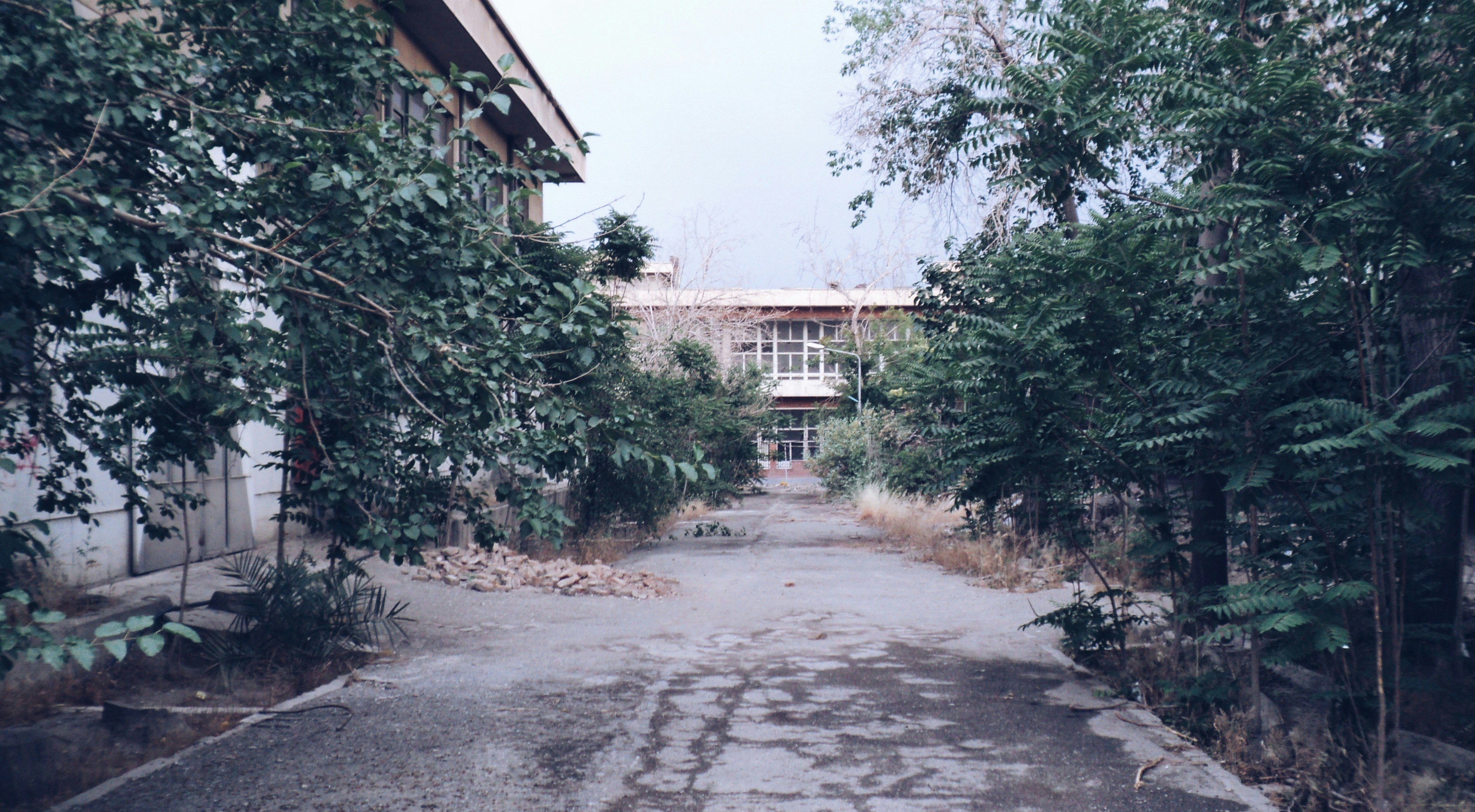 Sample photo from Sony Cyber-shot S2100