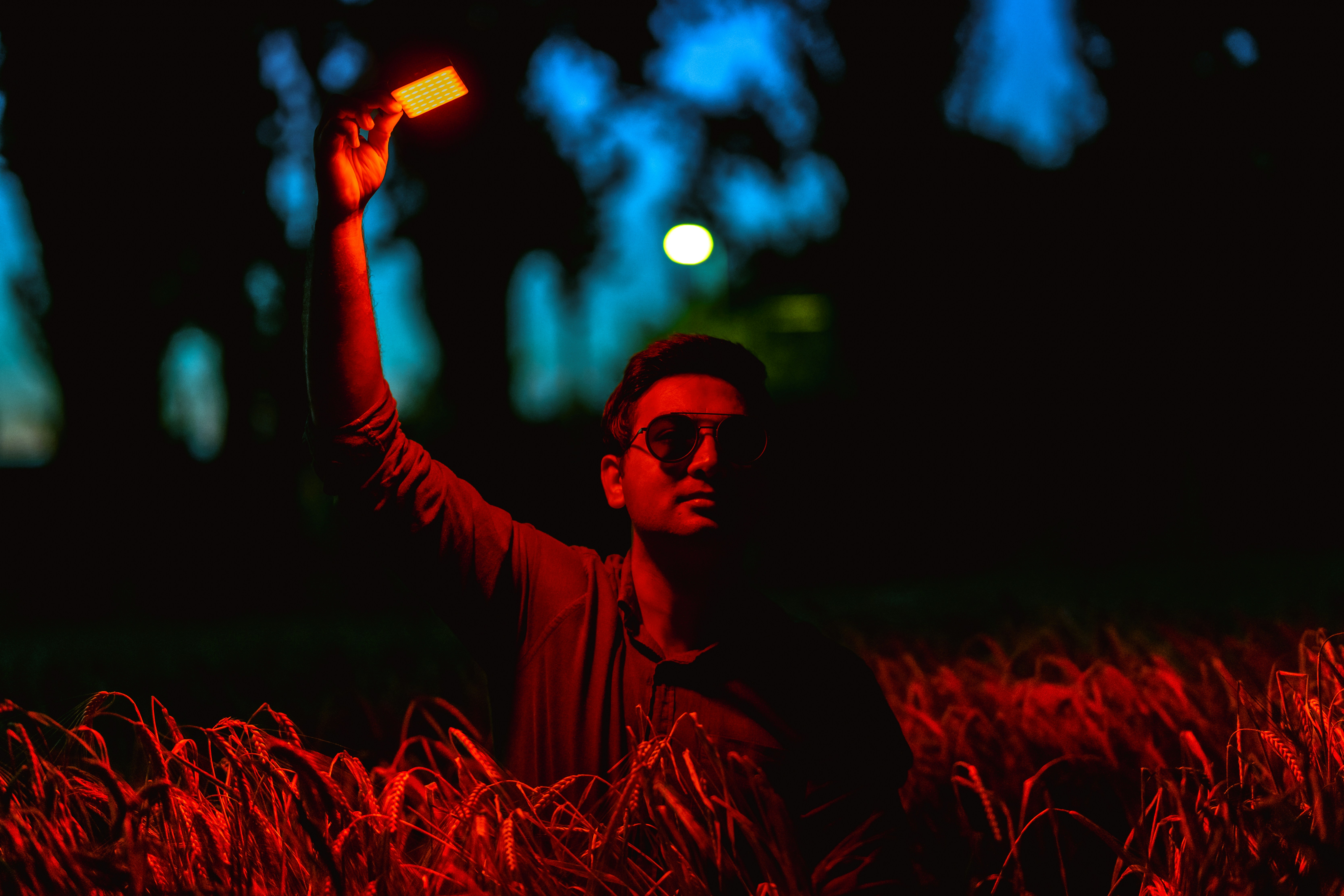 A figure in sunglasses holds a light source amidst glowing red grass under a twilight sky.