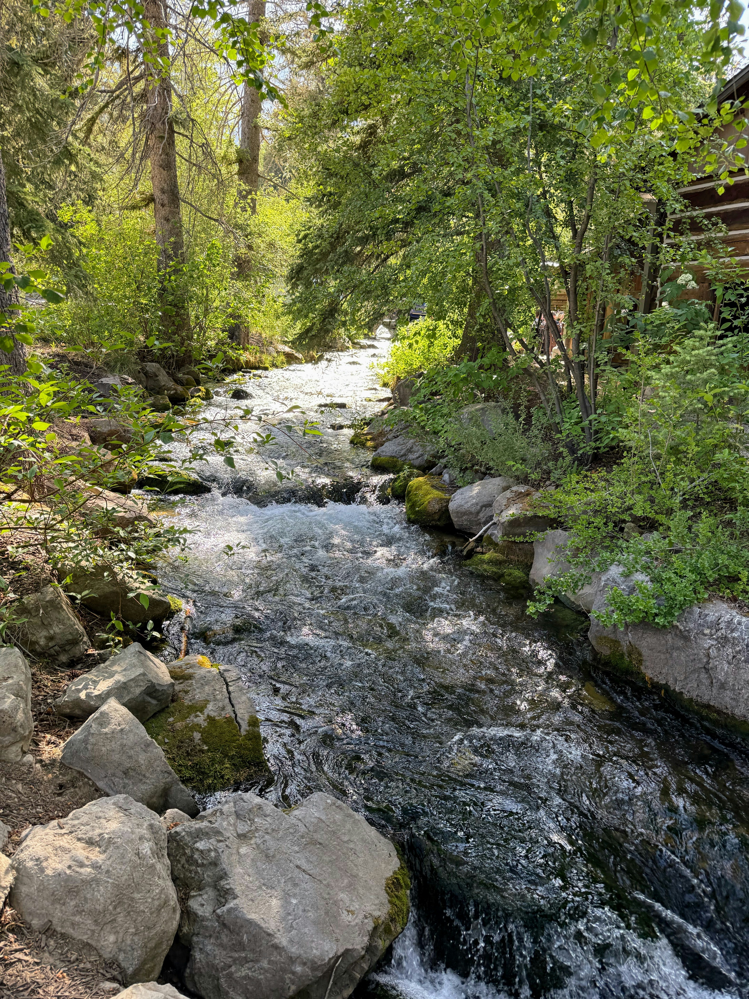Sundance Resort stream | A rushing creek flows through a lush forest.