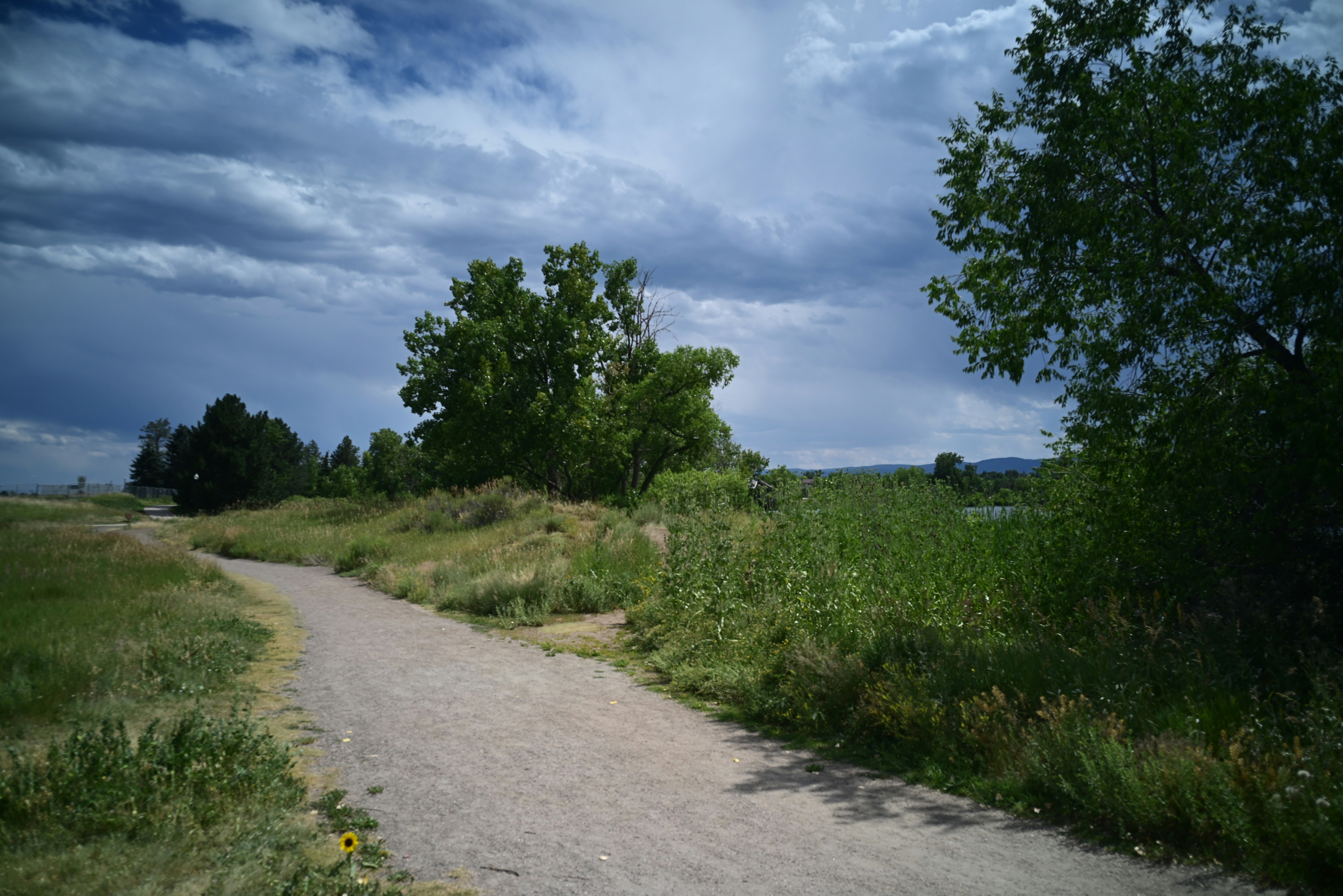 A winding path leads through a green landscape.