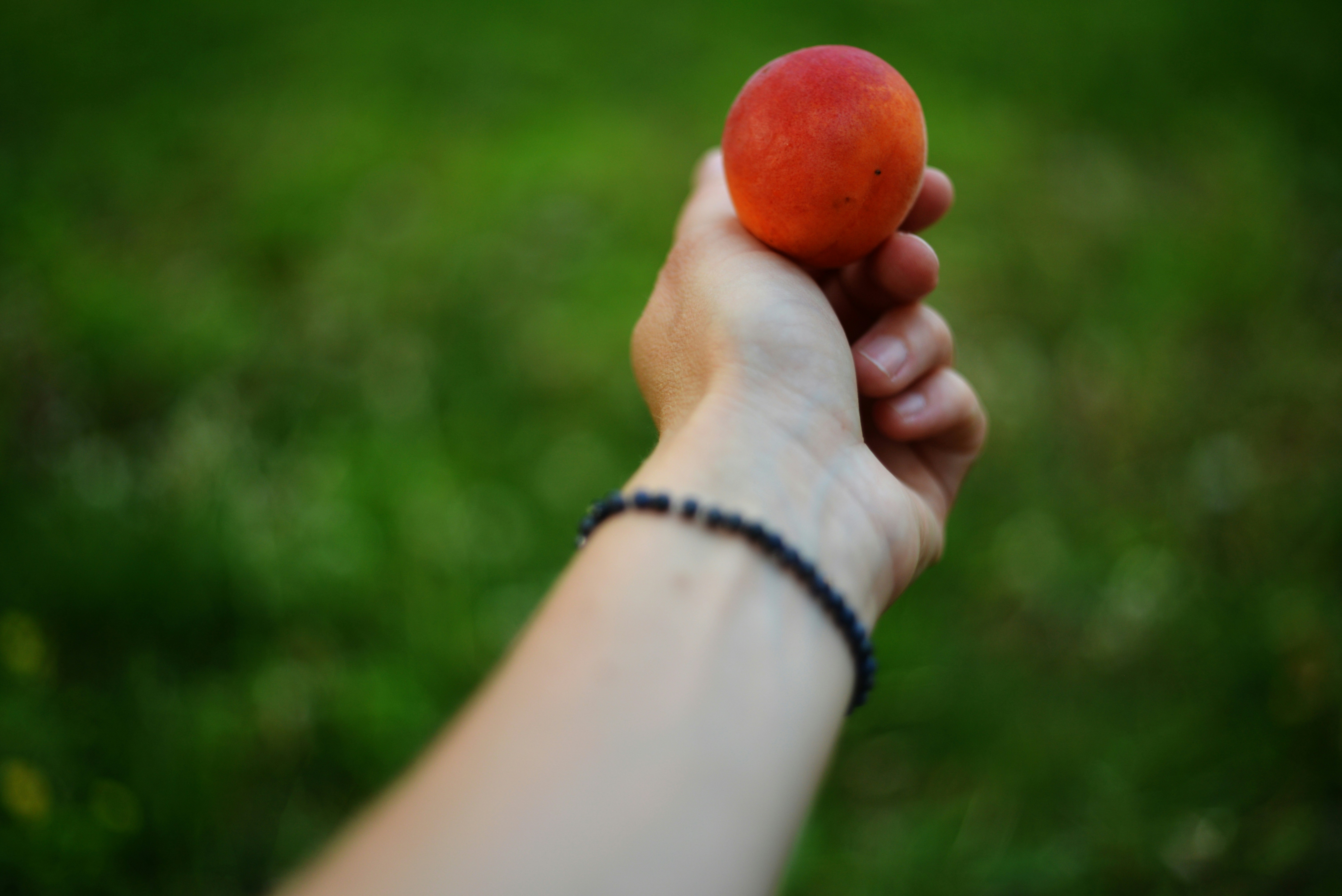 Photo by Liana S with Nikon D600