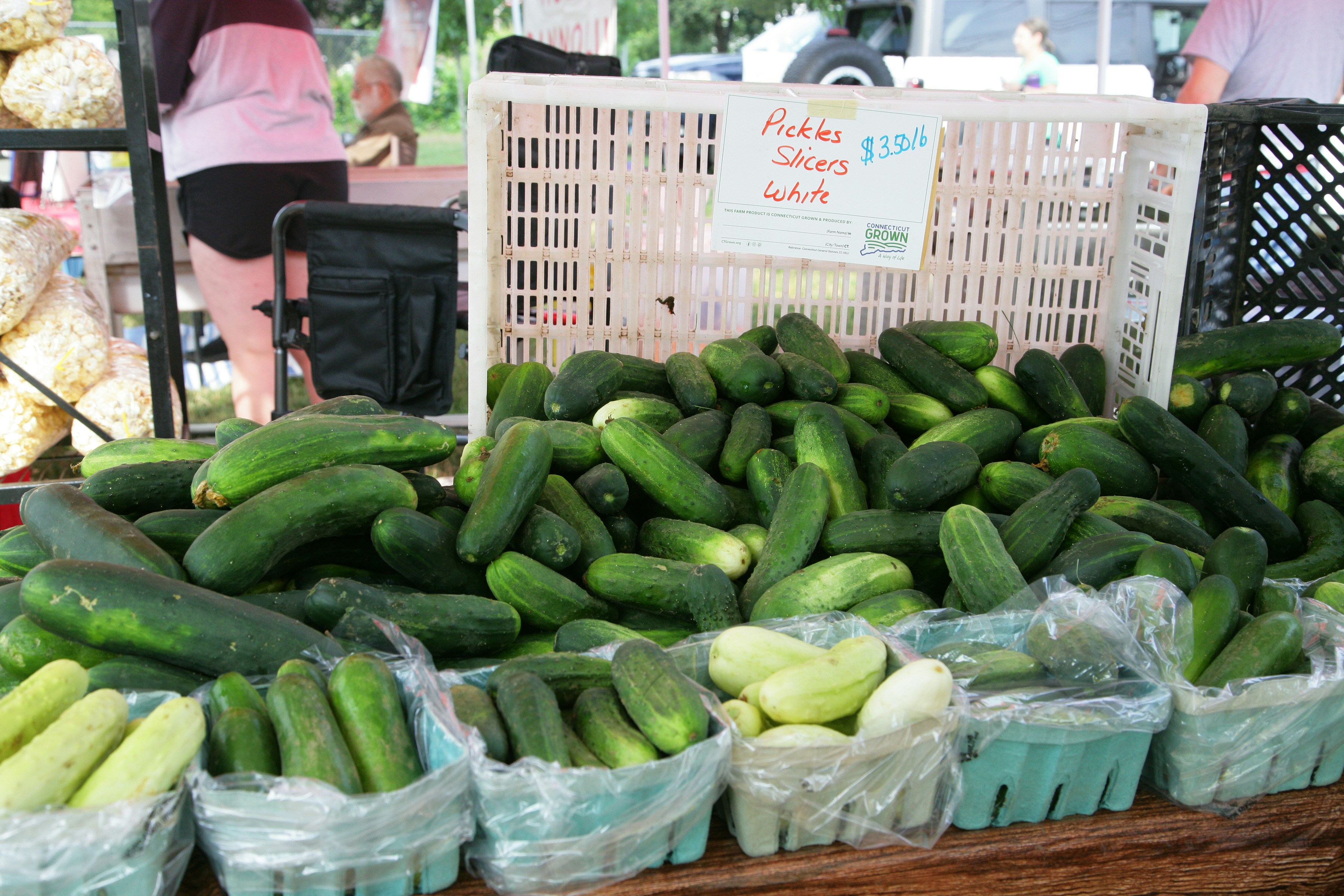 Photo by David Trinks with Canon EOS-1Ds Mark II