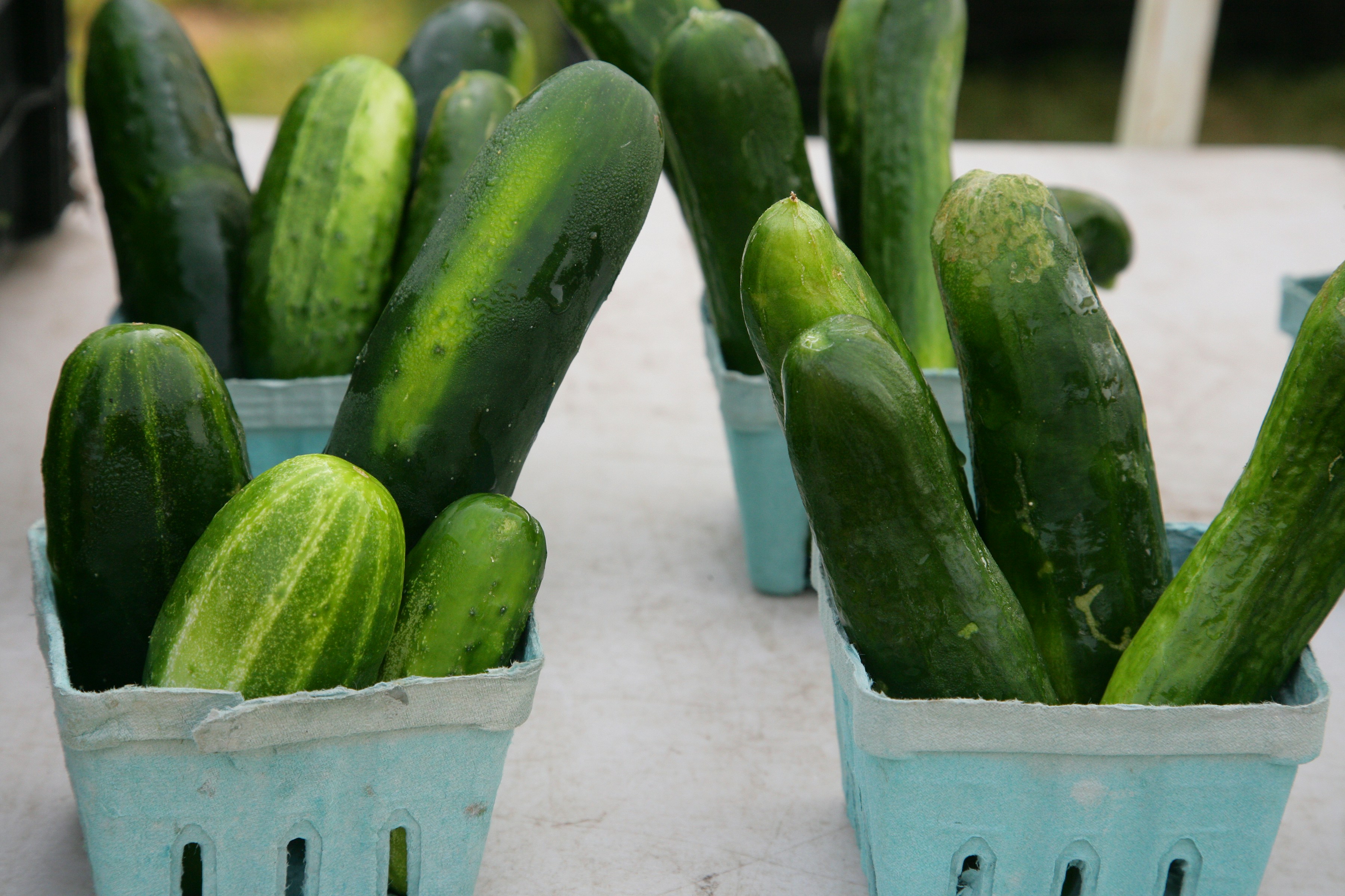 Fresh cucumbers arranged in blue baskets on a market table, showcasing their vibrant green hues and varying sizes.