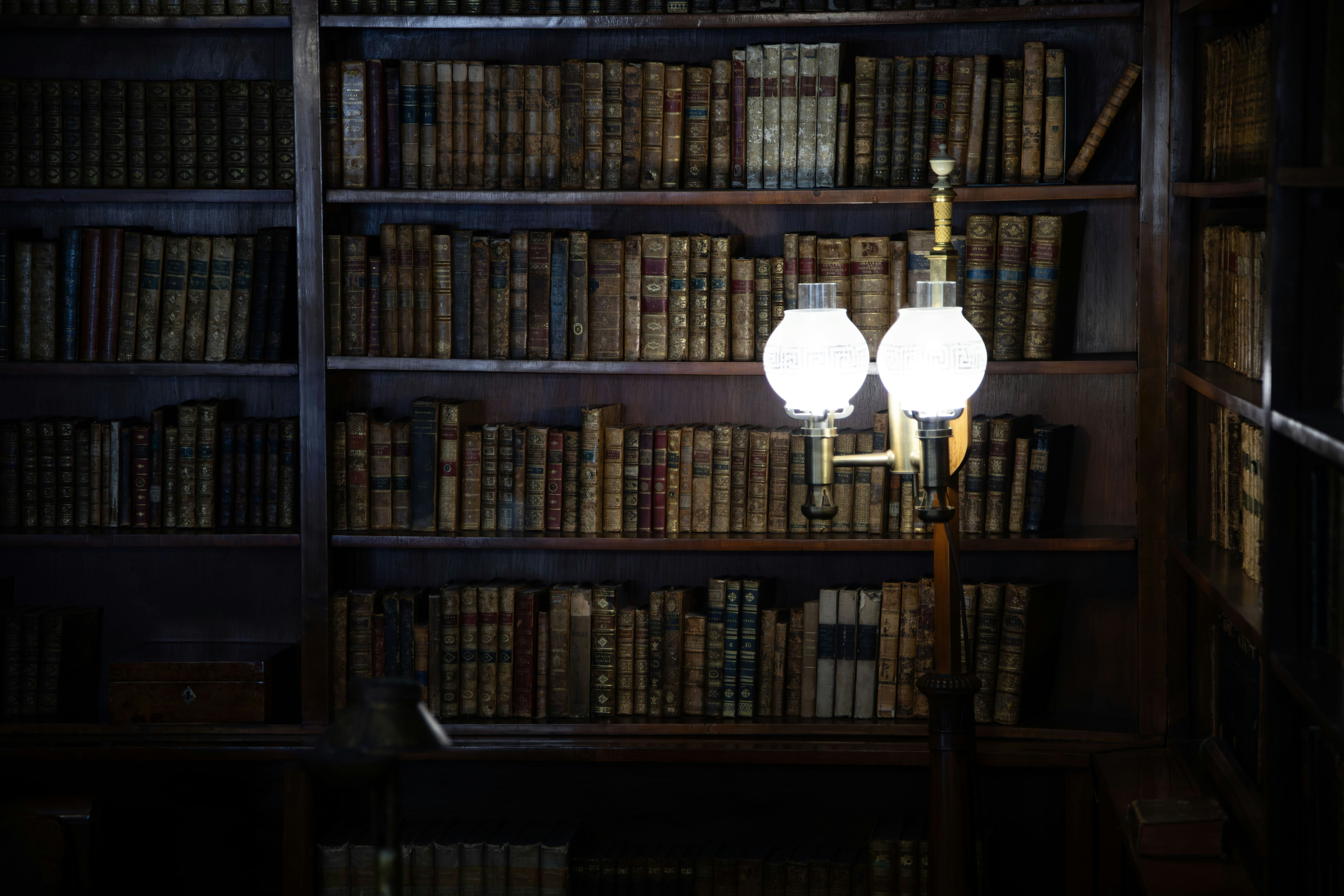 Books that Alexander Sergeevich Pushkin read | Bookshelves and a lamp in a dim library.