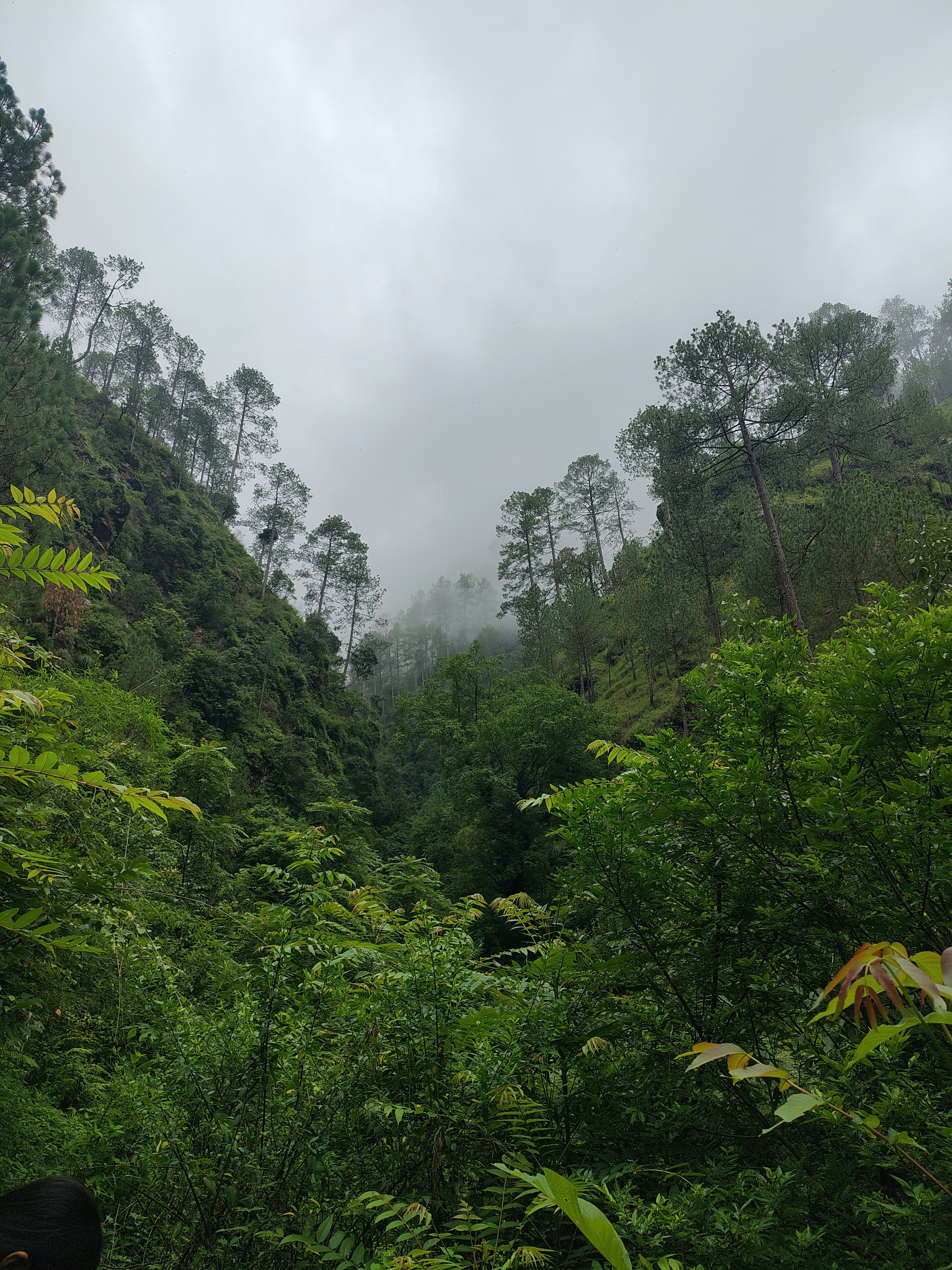 Sample photo from Motorola Edge Fusion