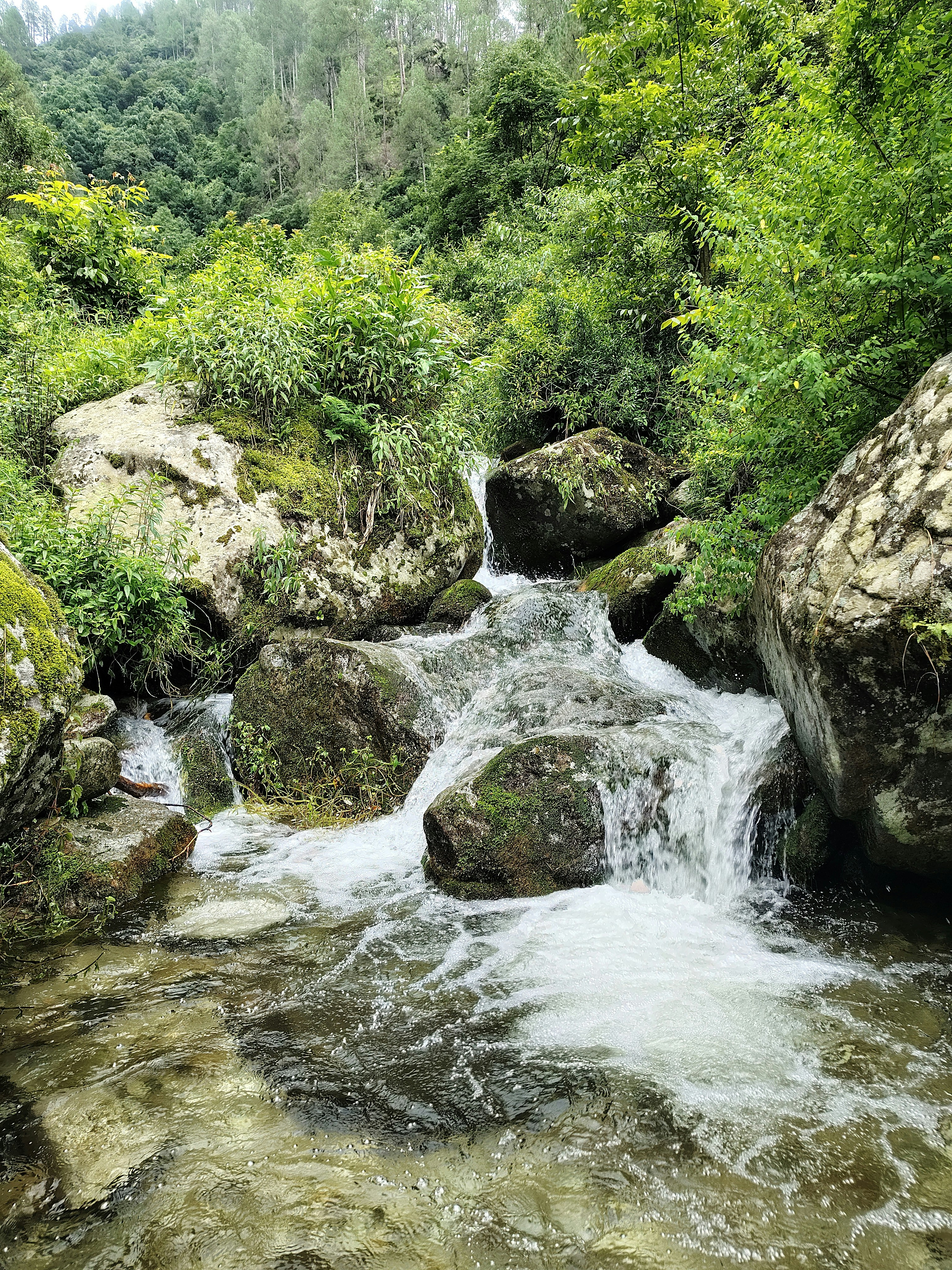 Sample photo from Motorola Edge Fusion