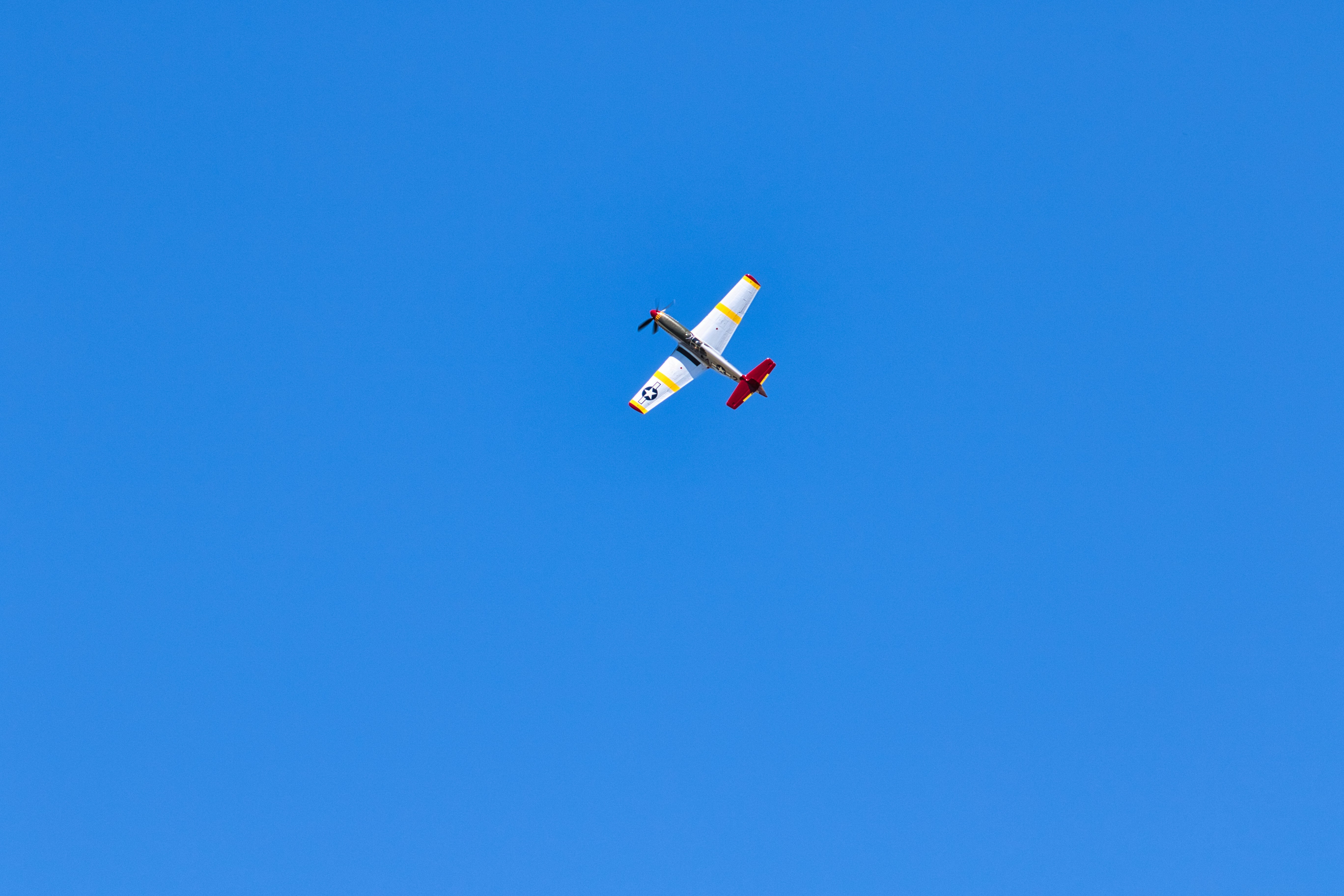 Aerial Dance Against the Azure Canvas