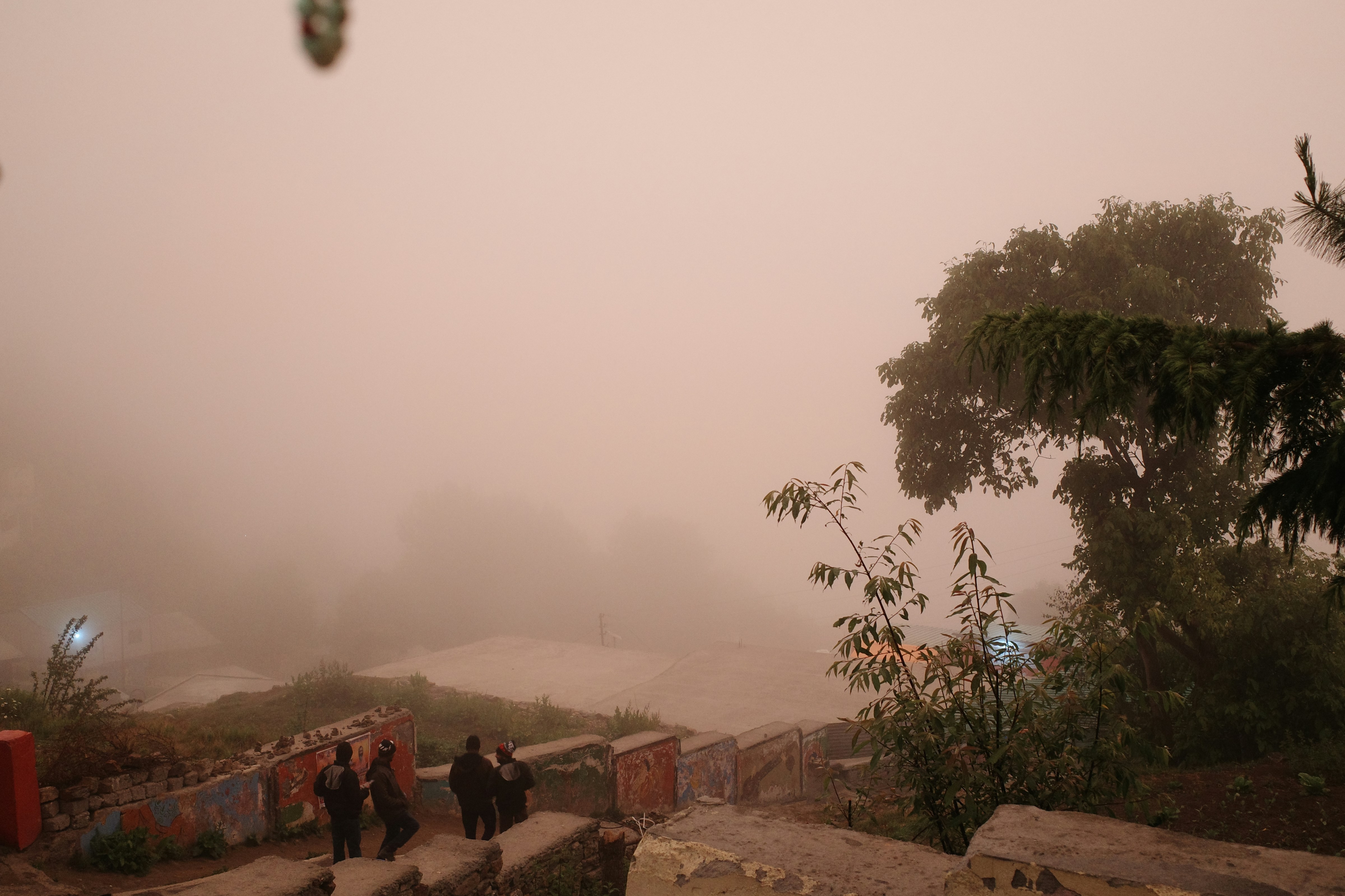 Veil of Mystery: A Stroll Through the Fog