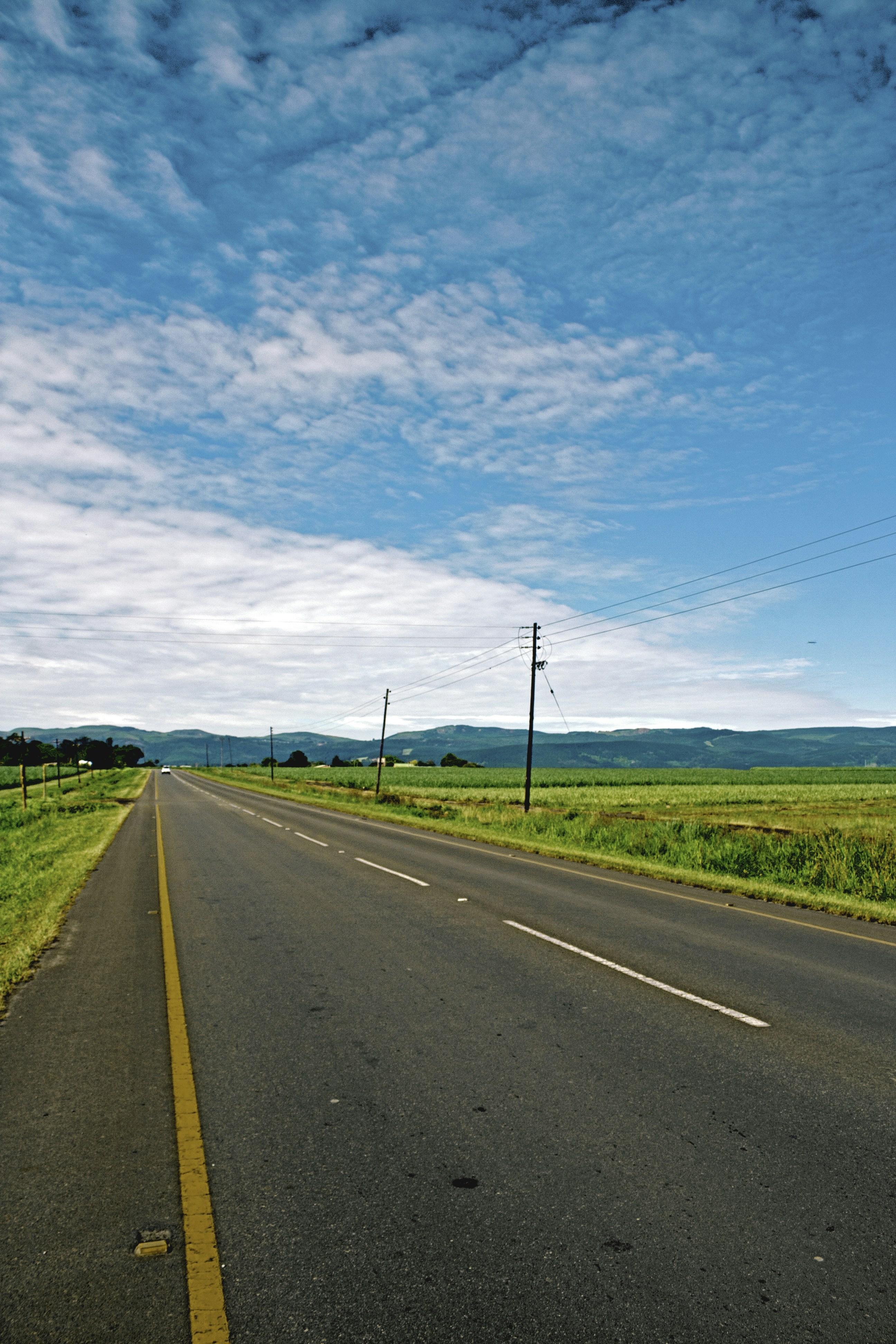 Endless Horizons: A Journey Through Tranquil Landscapes