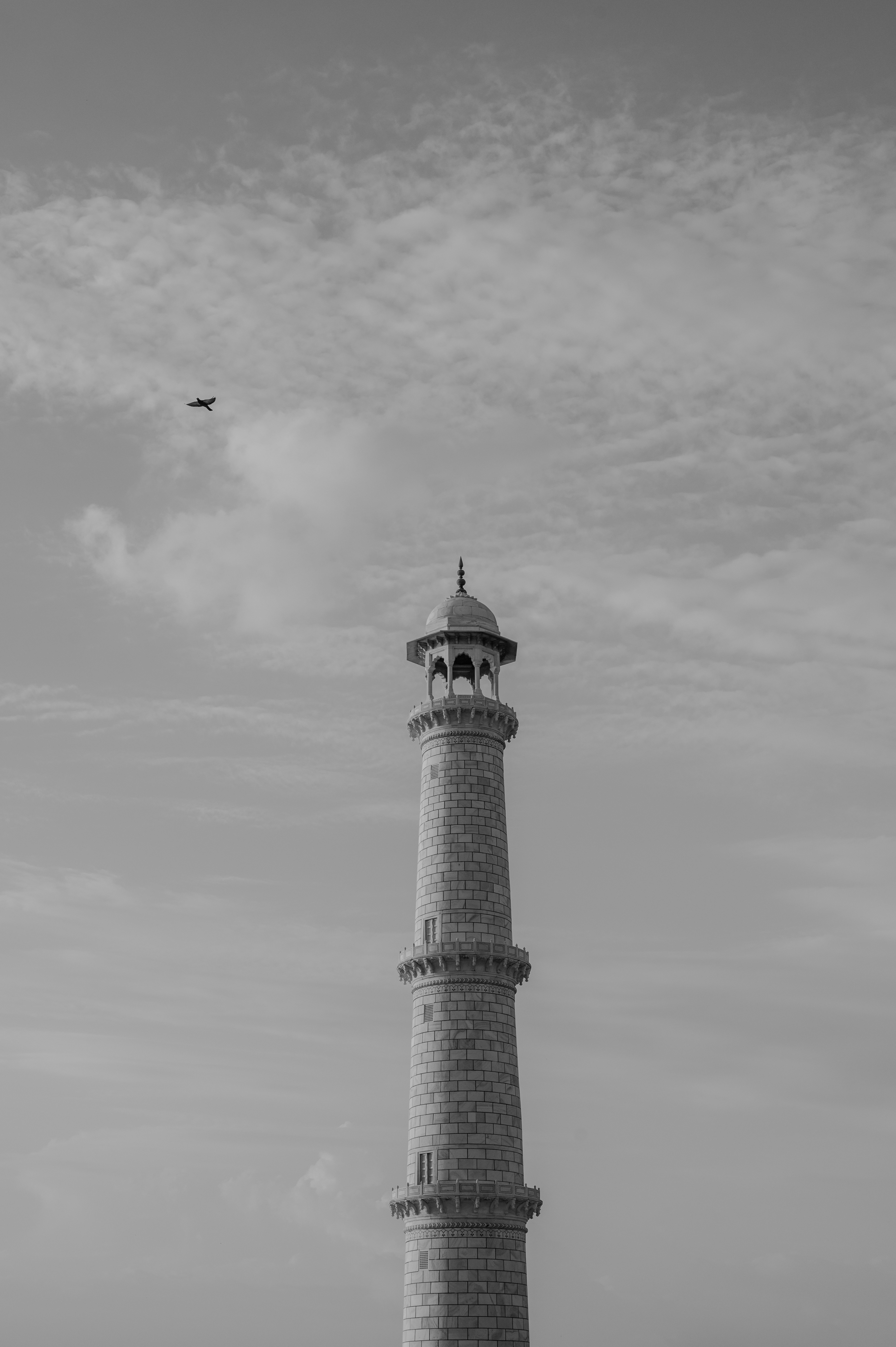 Echoes of Time: The Tower's Silent Vigil