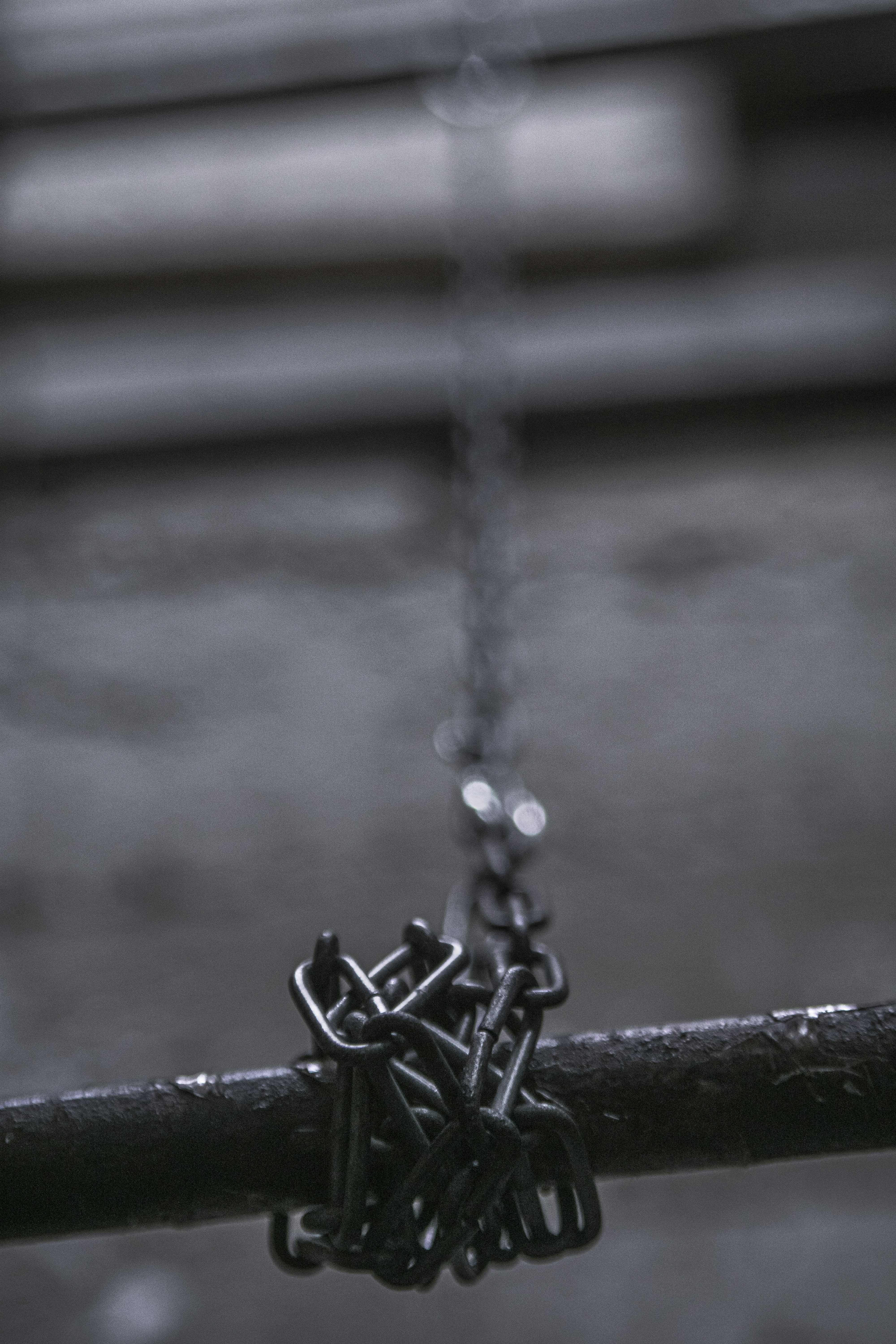 Entangled Echoes of Resilience