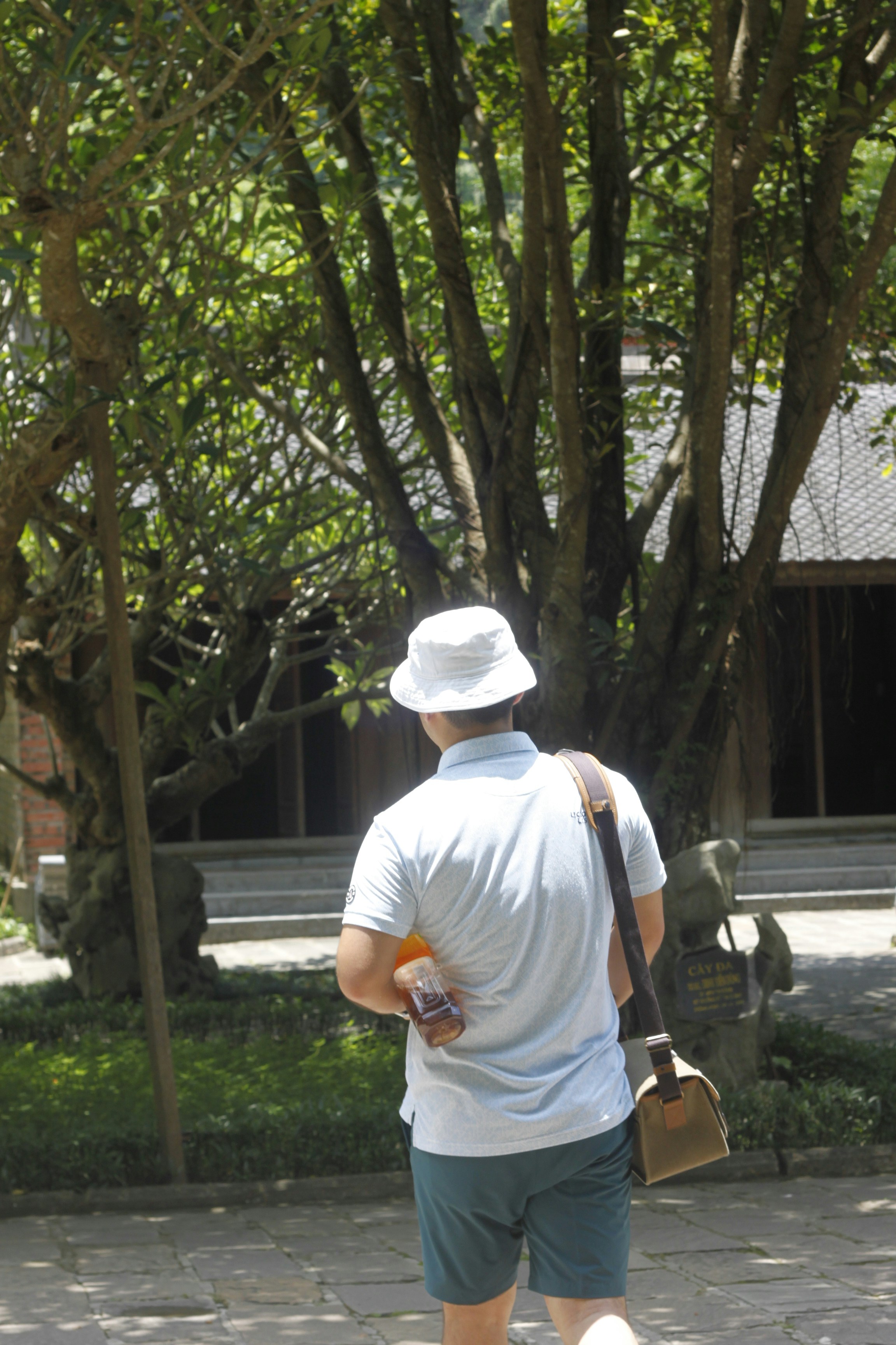 Traveler in a Sun-Dappled Temple Courtyard
