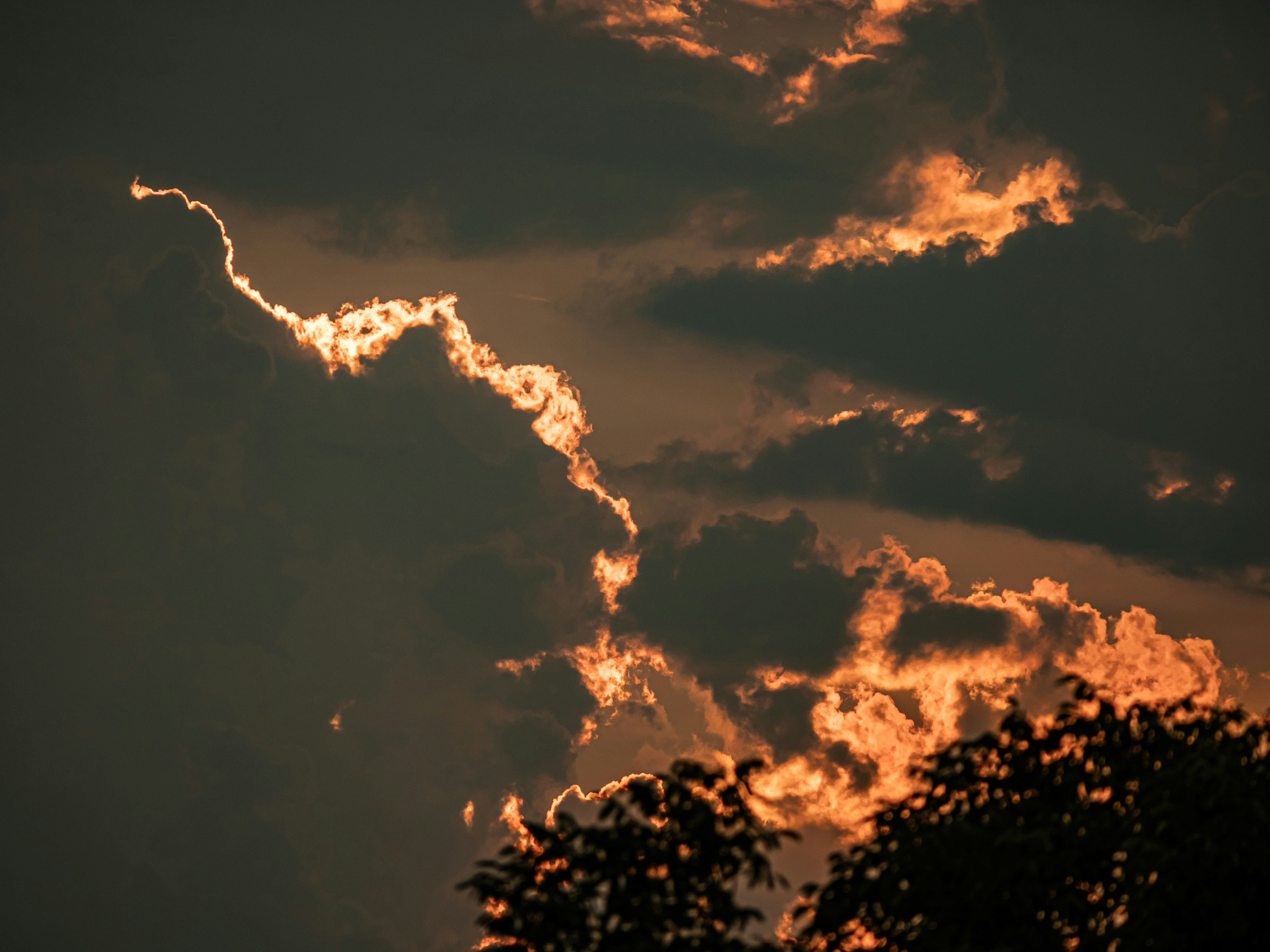 Whispers of Twilight: The Dance of Light and Shadow