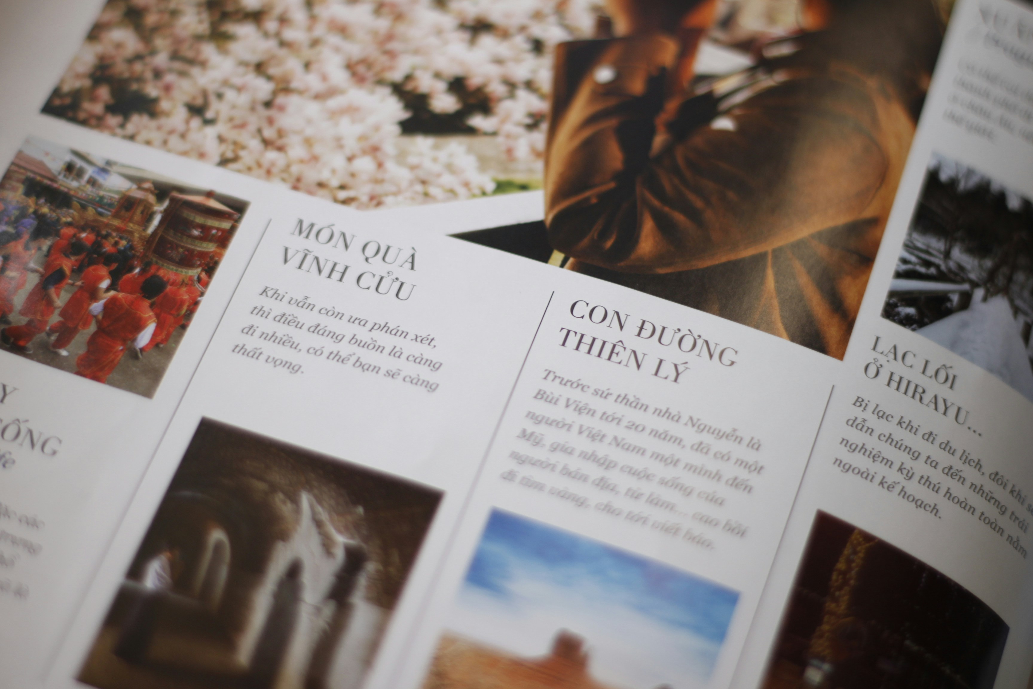 A close-up view of a magazine layout featuring rich cultural narratives and vibrant imagery. The layout showcases various articles and photographs that invite exploration.