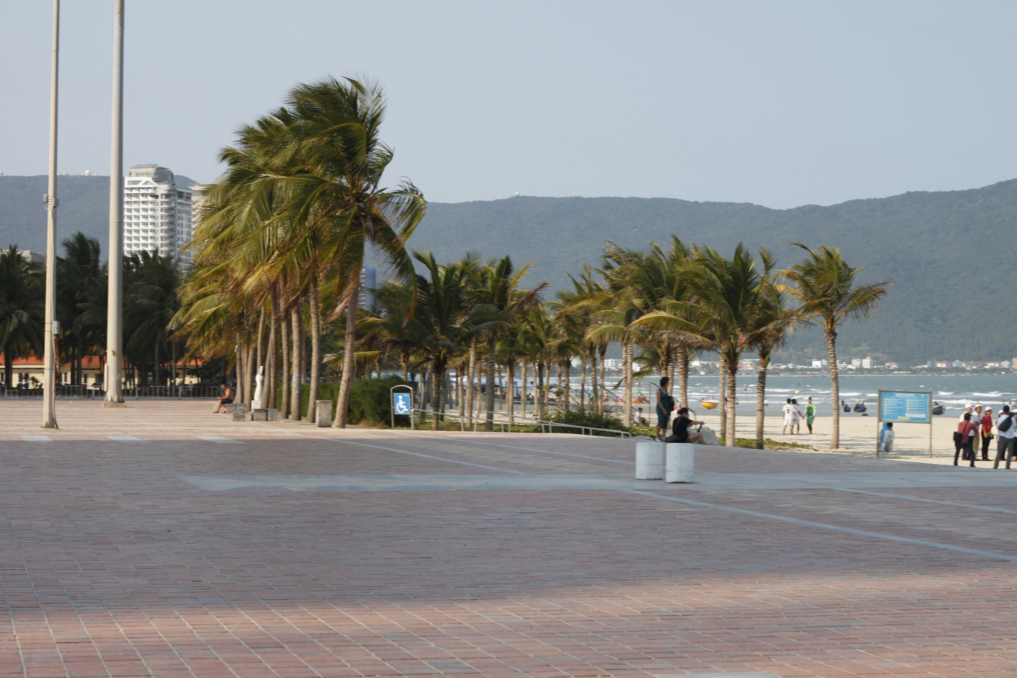 A tranquil beachfront promenade lined with swaying palm trees, leading towards the ocean and distant mountains.
