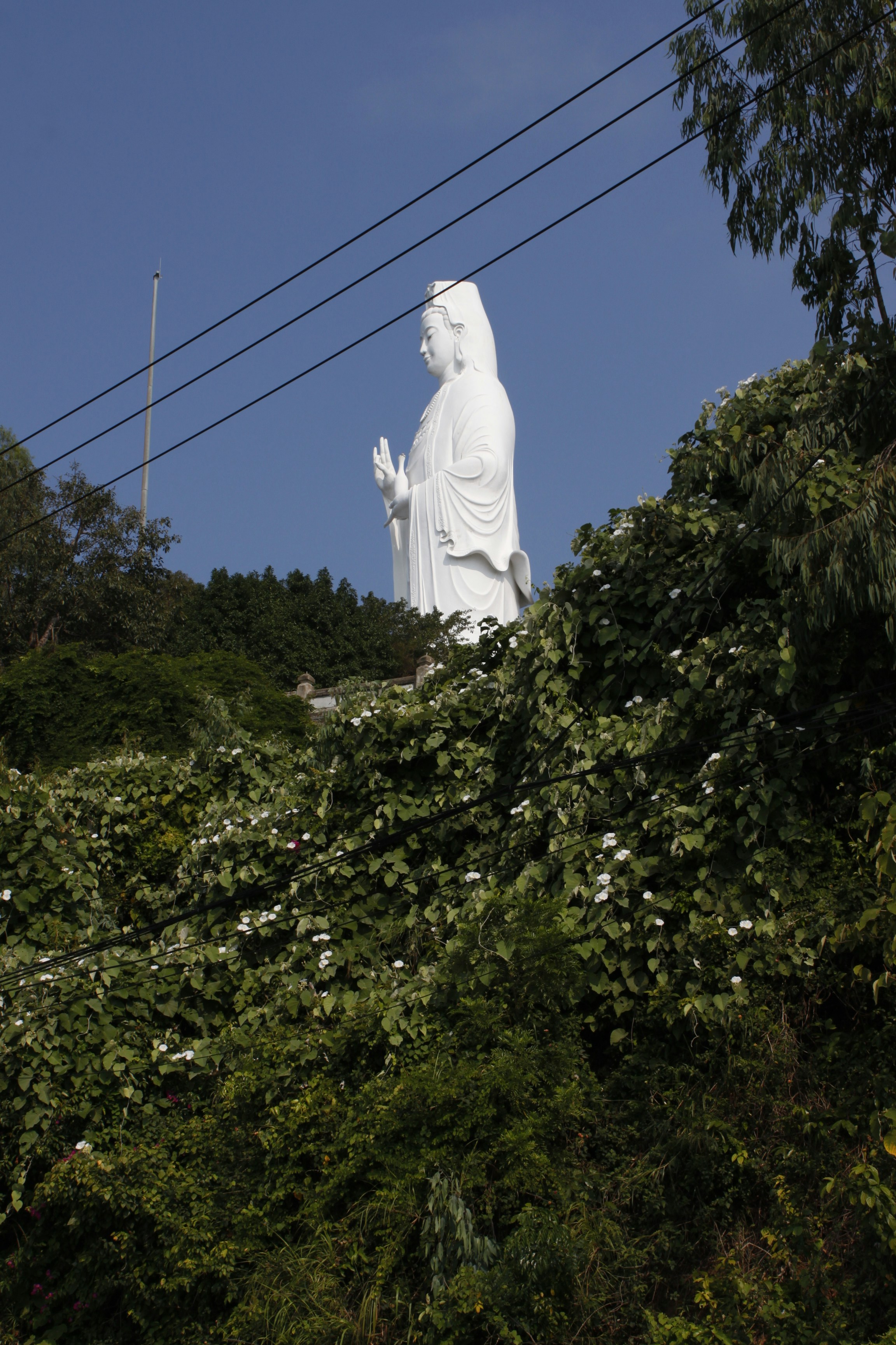 Guardian of Serenity: A White Sentinel Amidst Nature