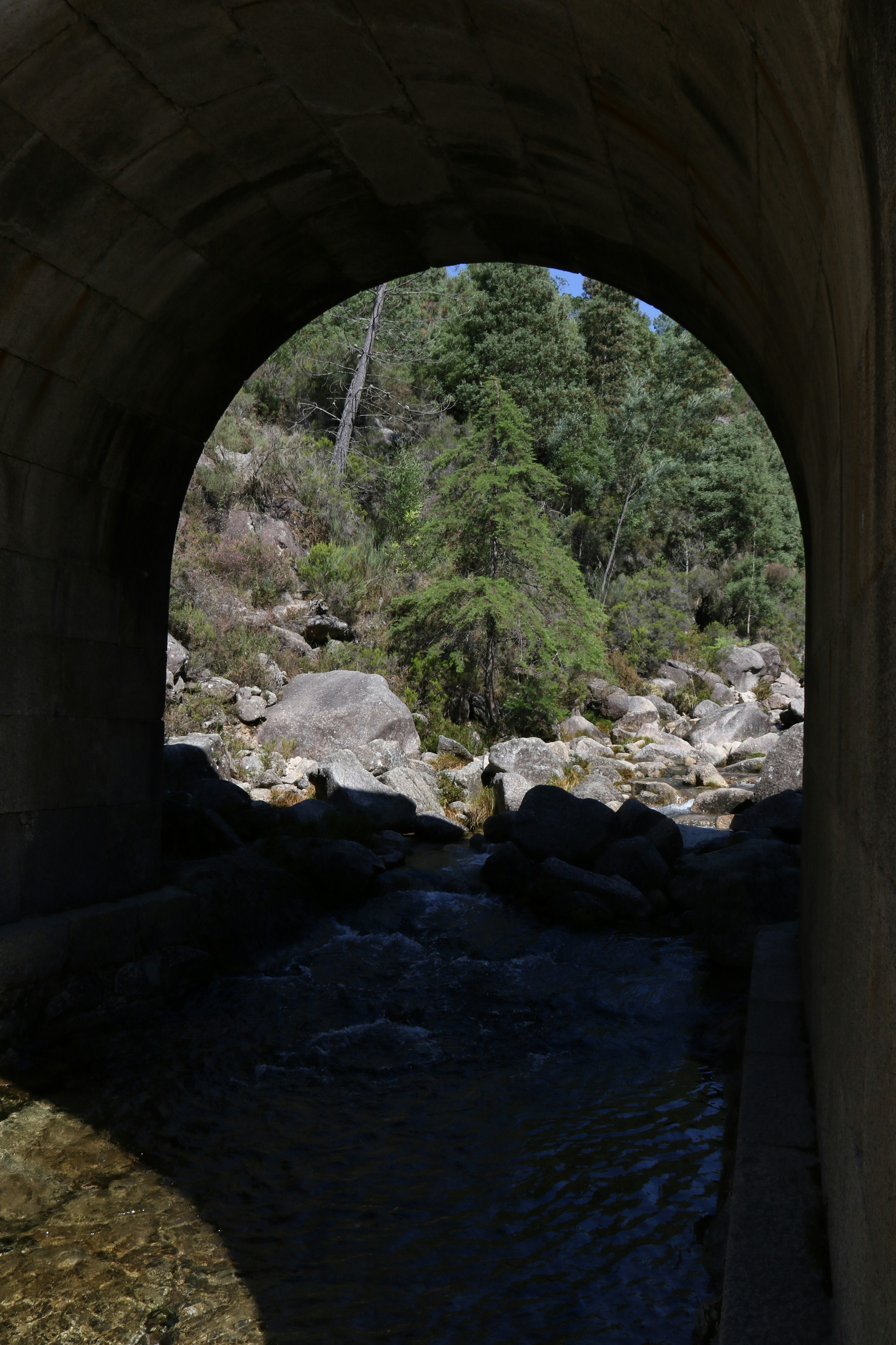 Nature's Hidden Passageway