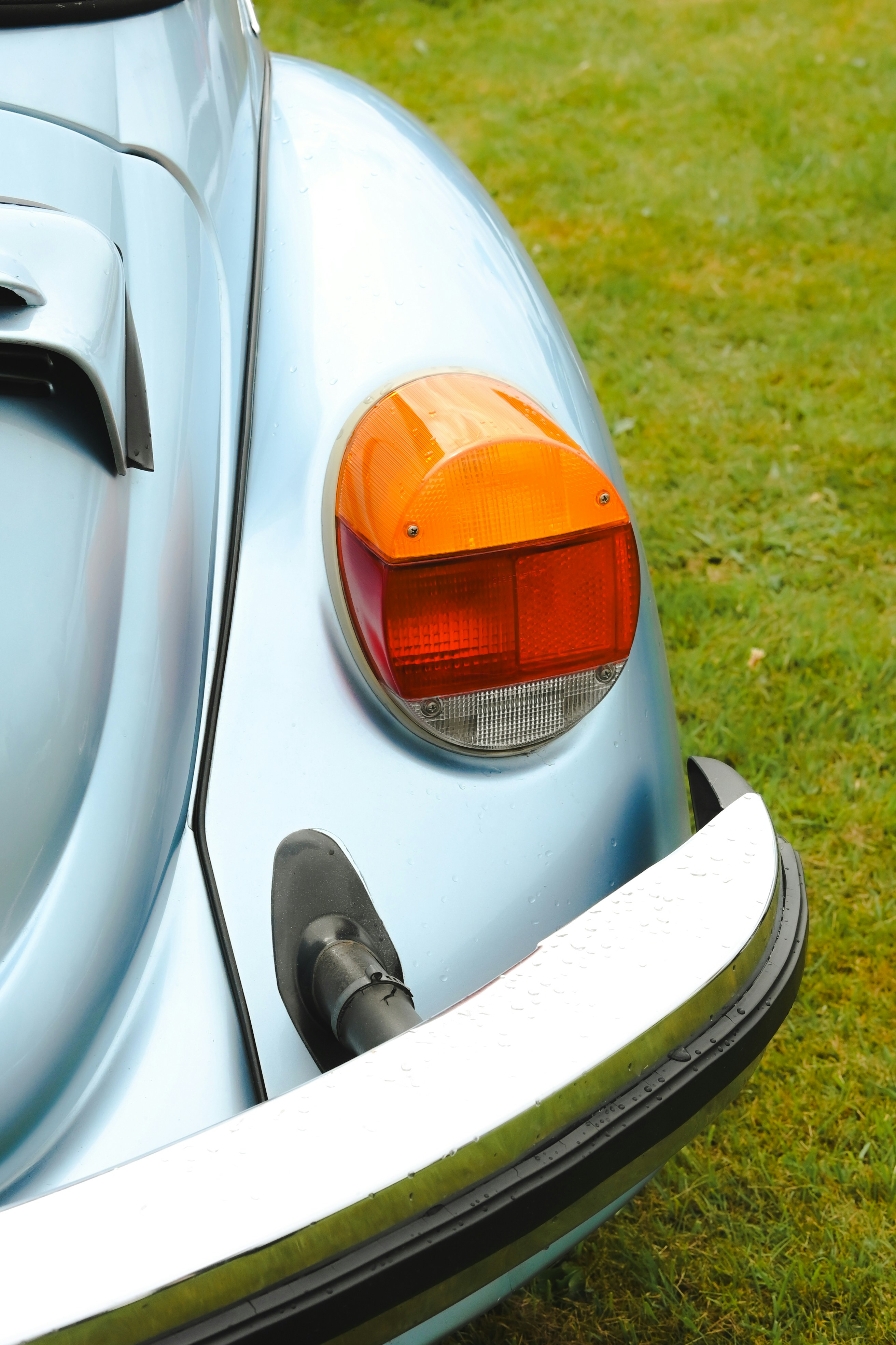 Pastel Beetle Tail Light Framed by Grass