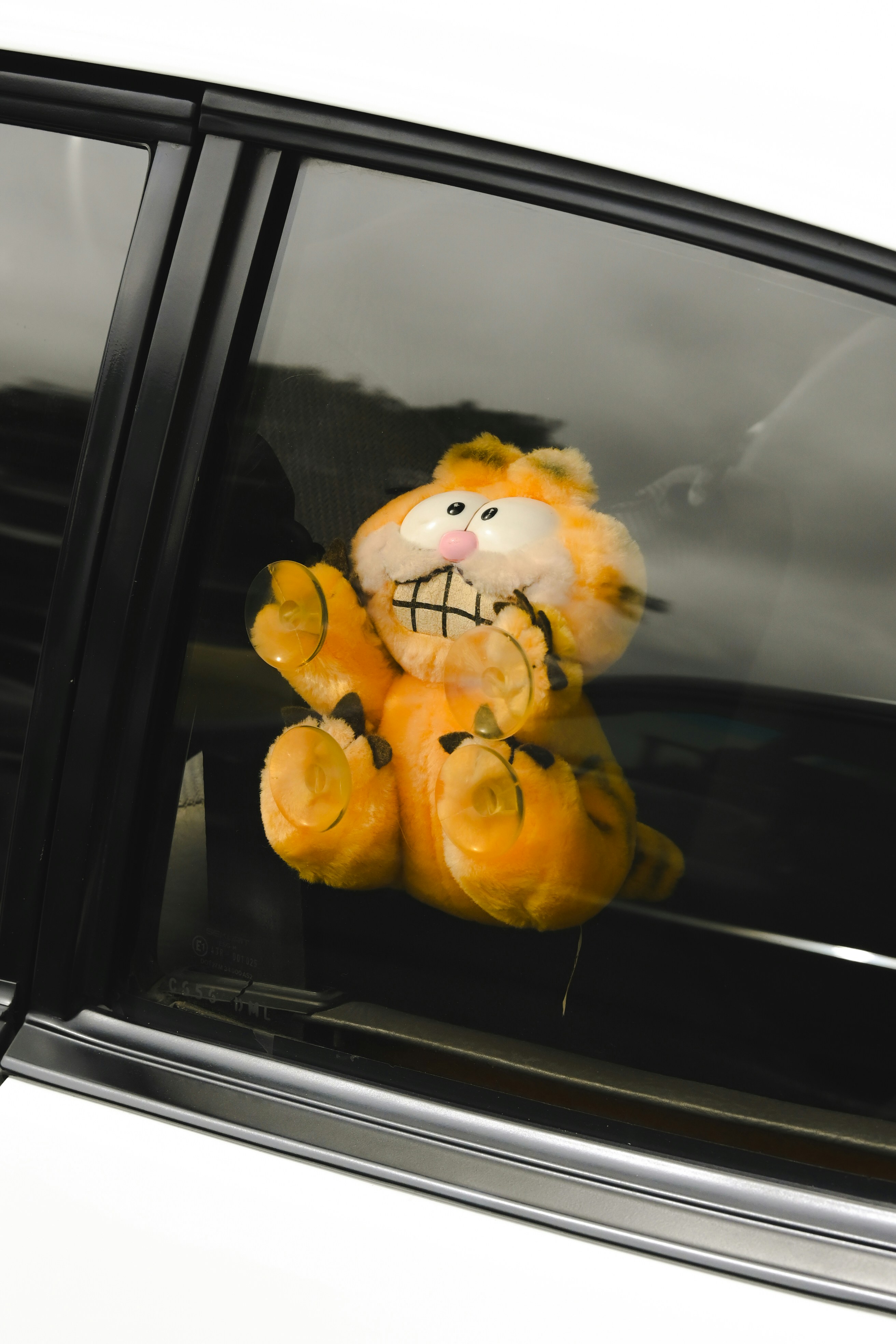 Cheerful Companion Behind GlassNik