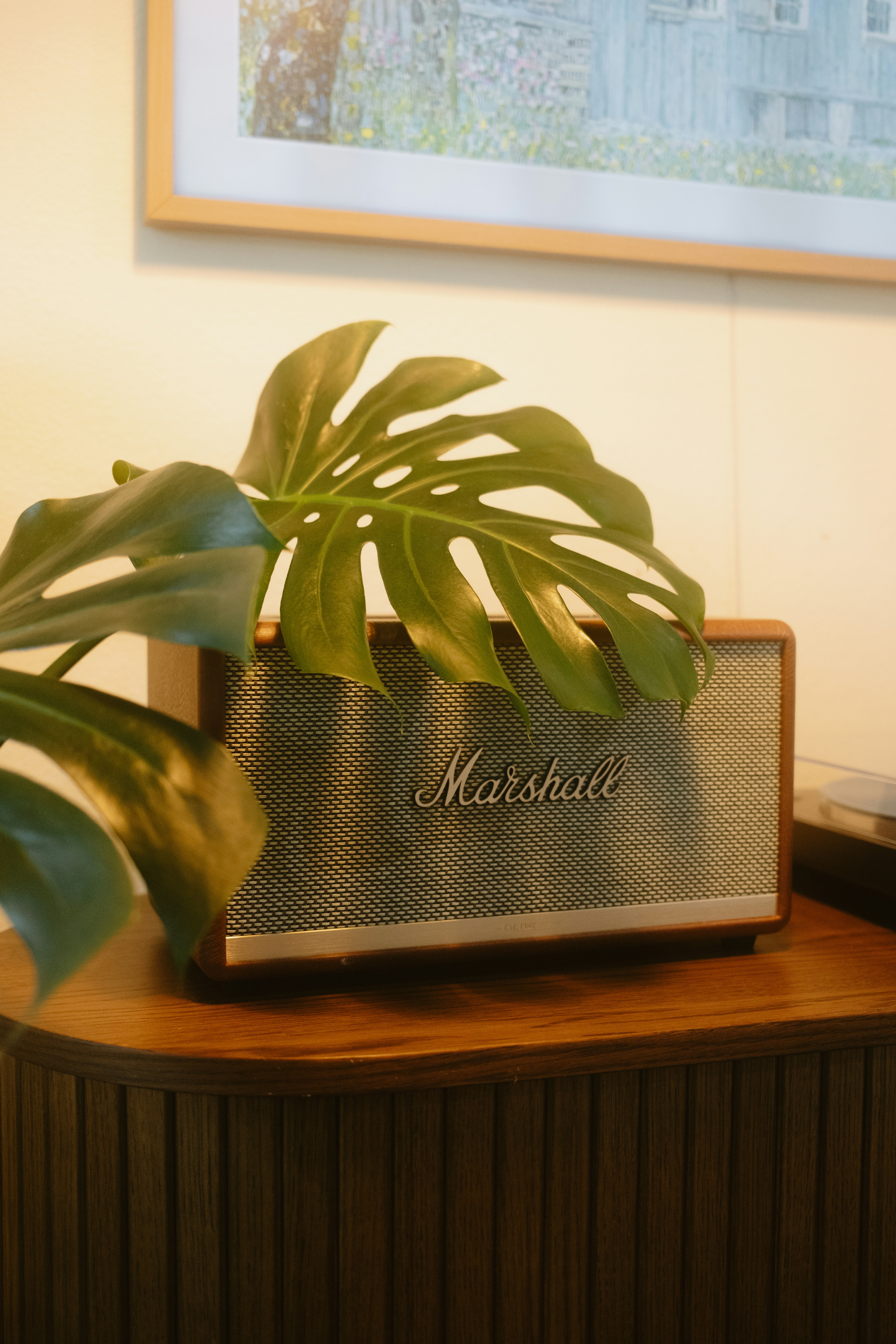 Harmony of Sound and Nature