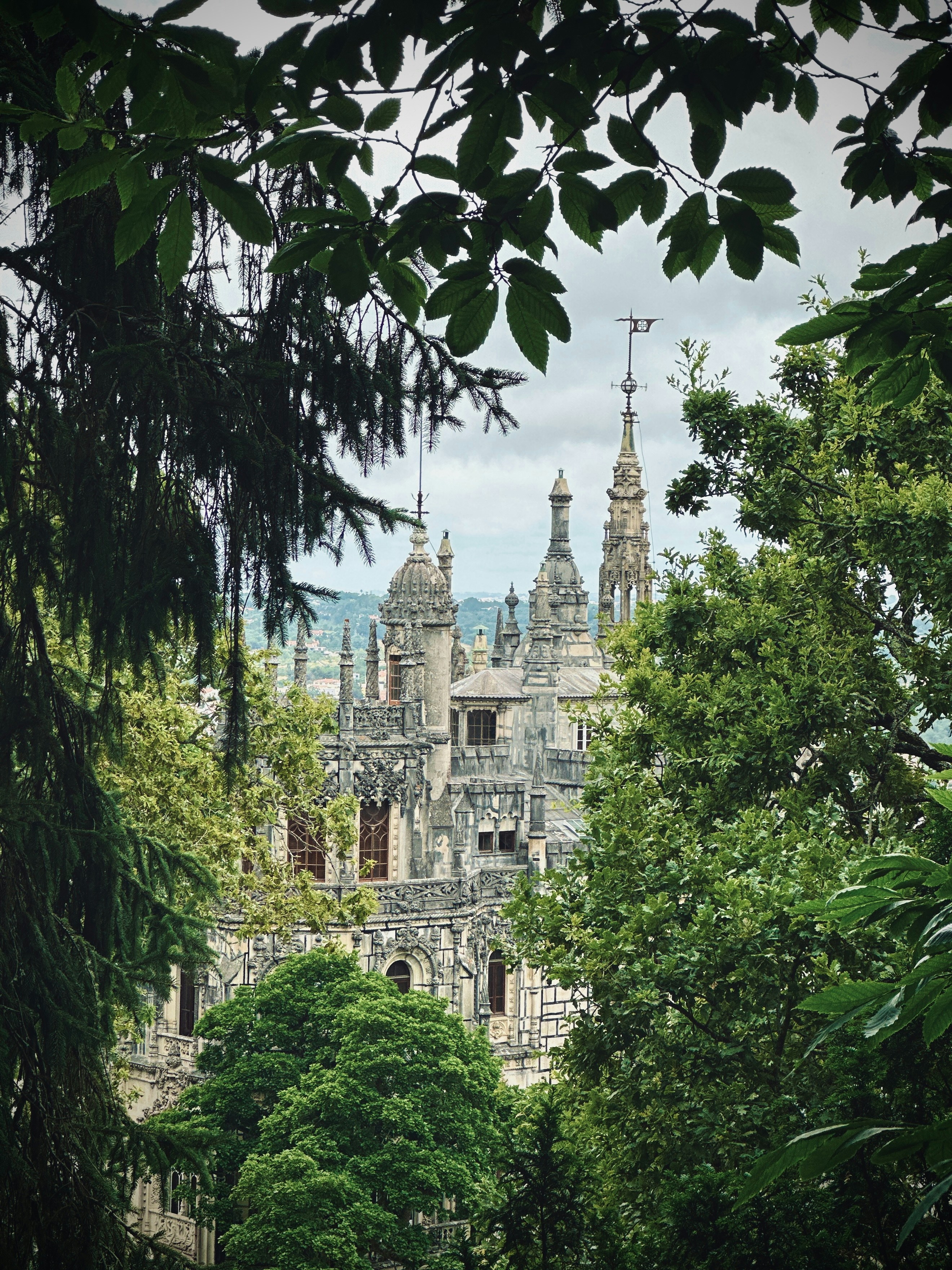 Intricate stone architecture peeks through lush greenery, evoking a sense of history and mystery. The scene captures a forgotten era amidst vibrant nature.