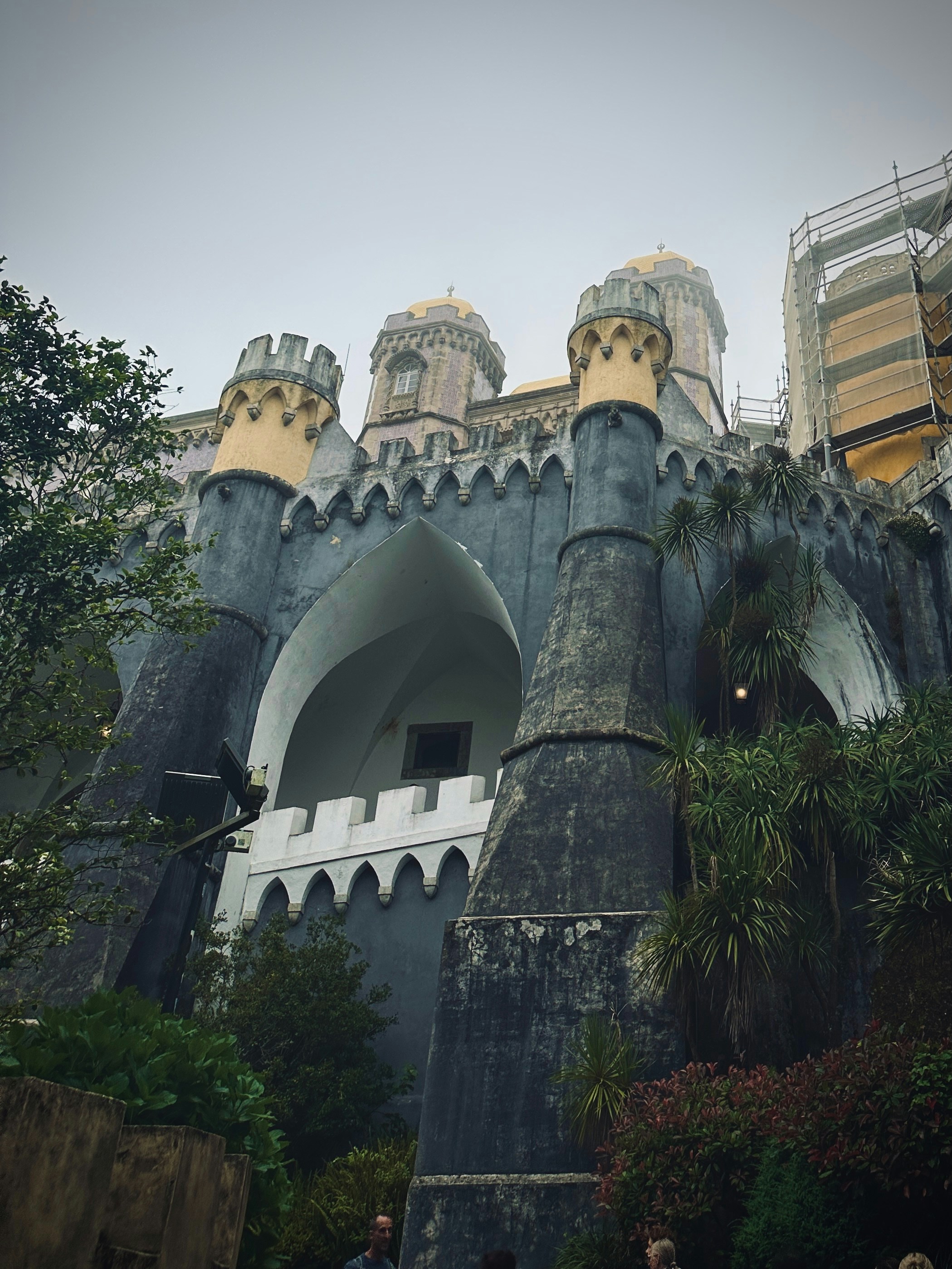 Echoes of a Forgotten Realm