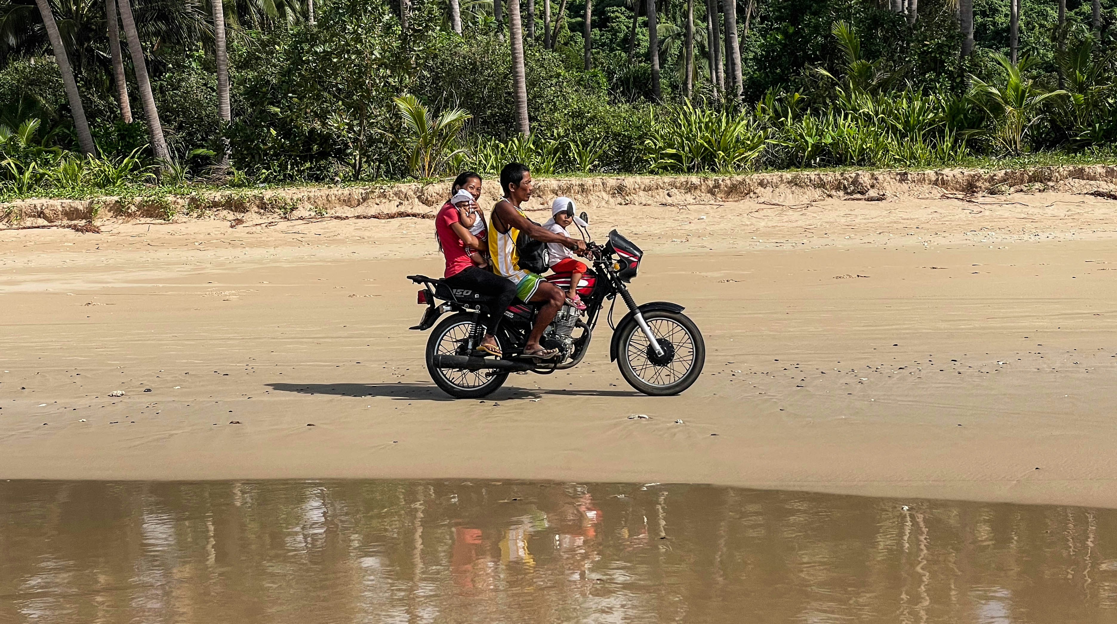 Beachfront Quartet: A Red Motorcycle Traverses a Quiet, Sunlit Shoreline