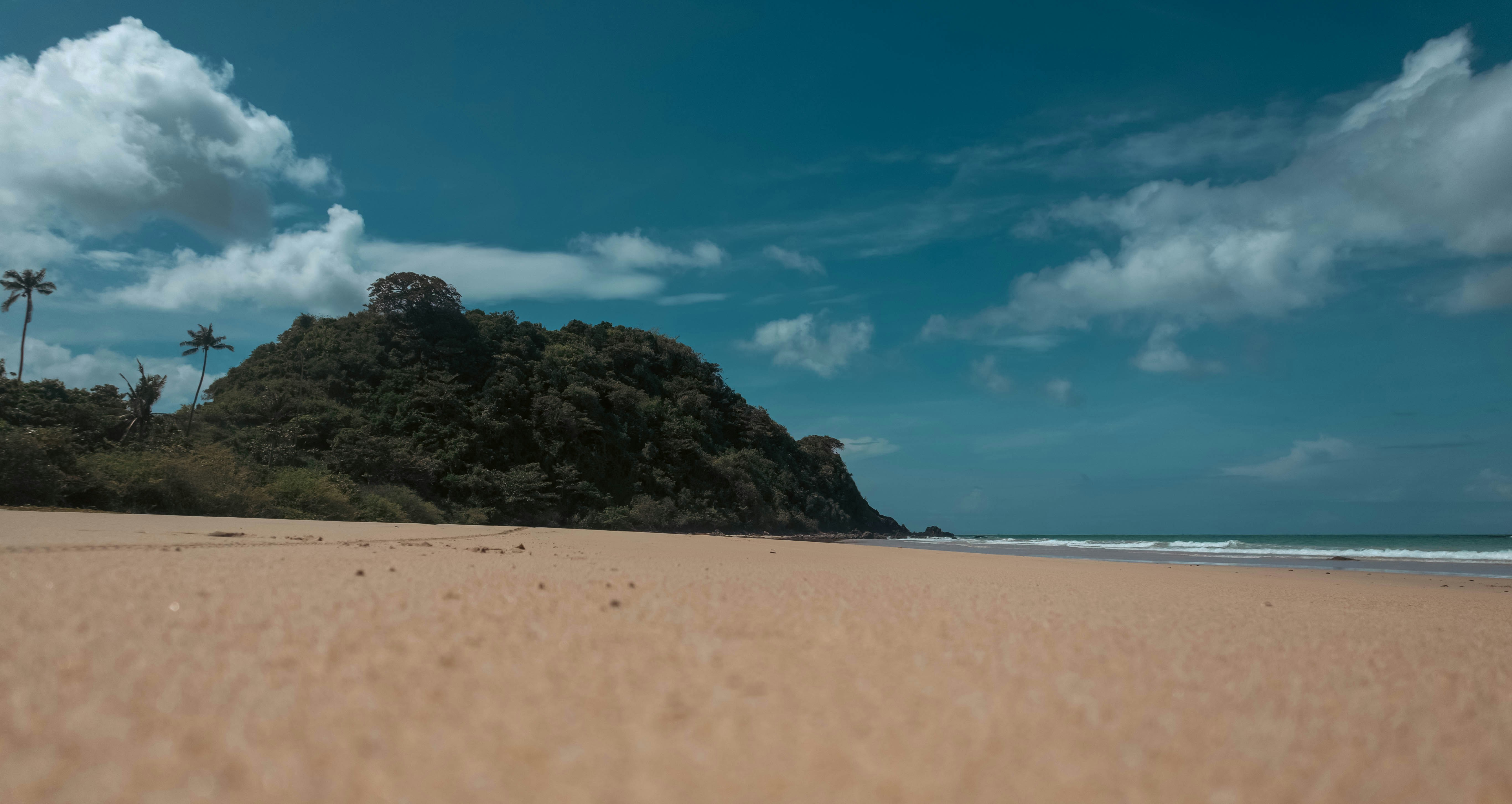 Serene Shoreline Embrace