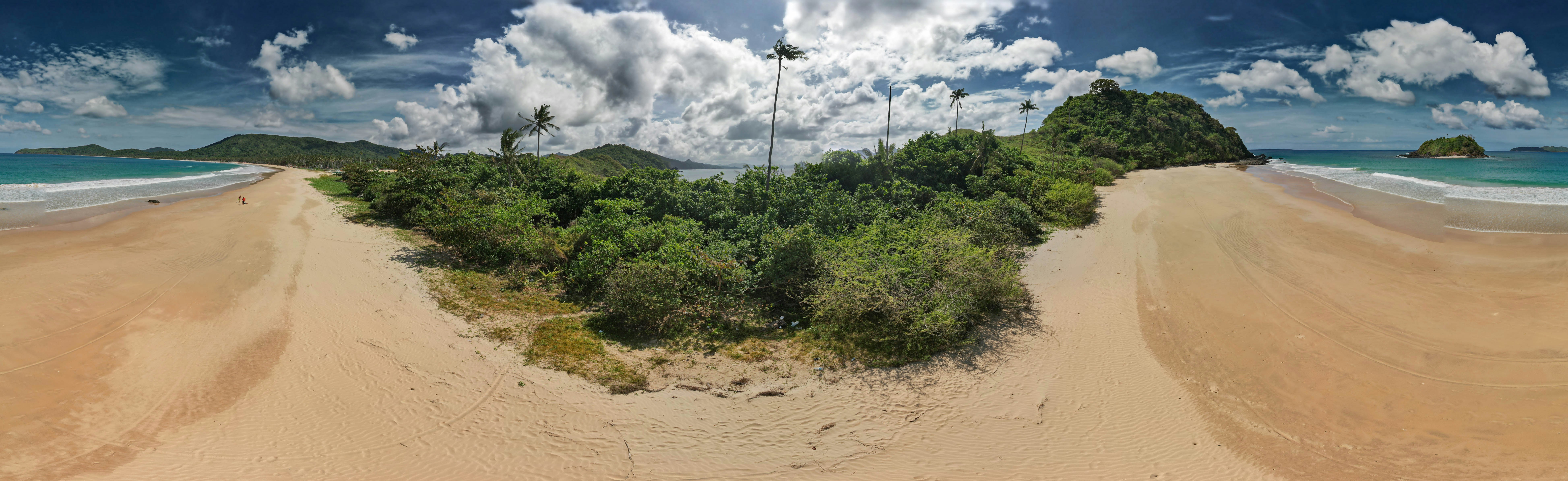 Split Beach: A Central Treetop Spine Fractures the Horizon