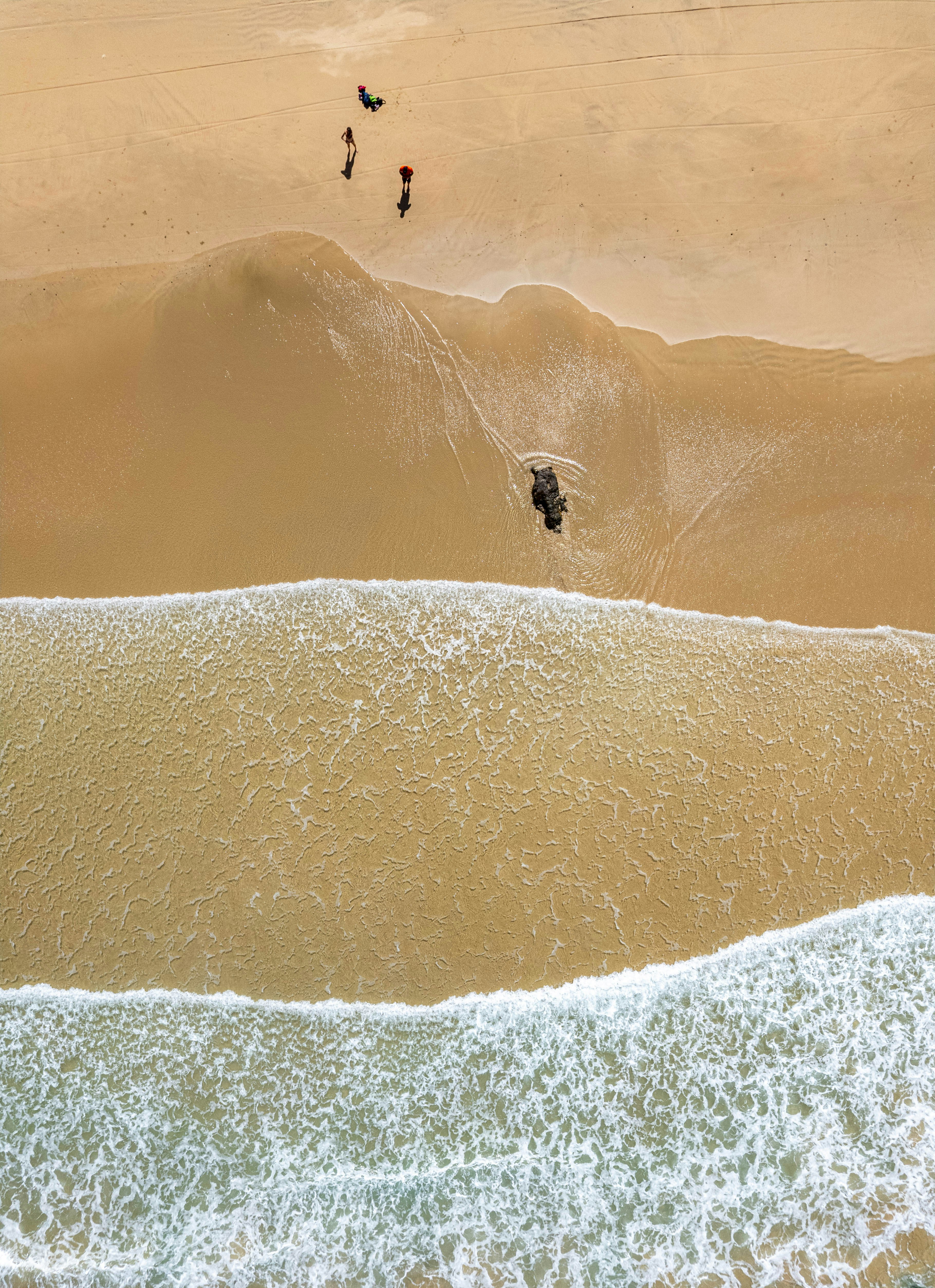 Curved Shorelines and a Lone Figure: A Drone View of Tide and Dunes